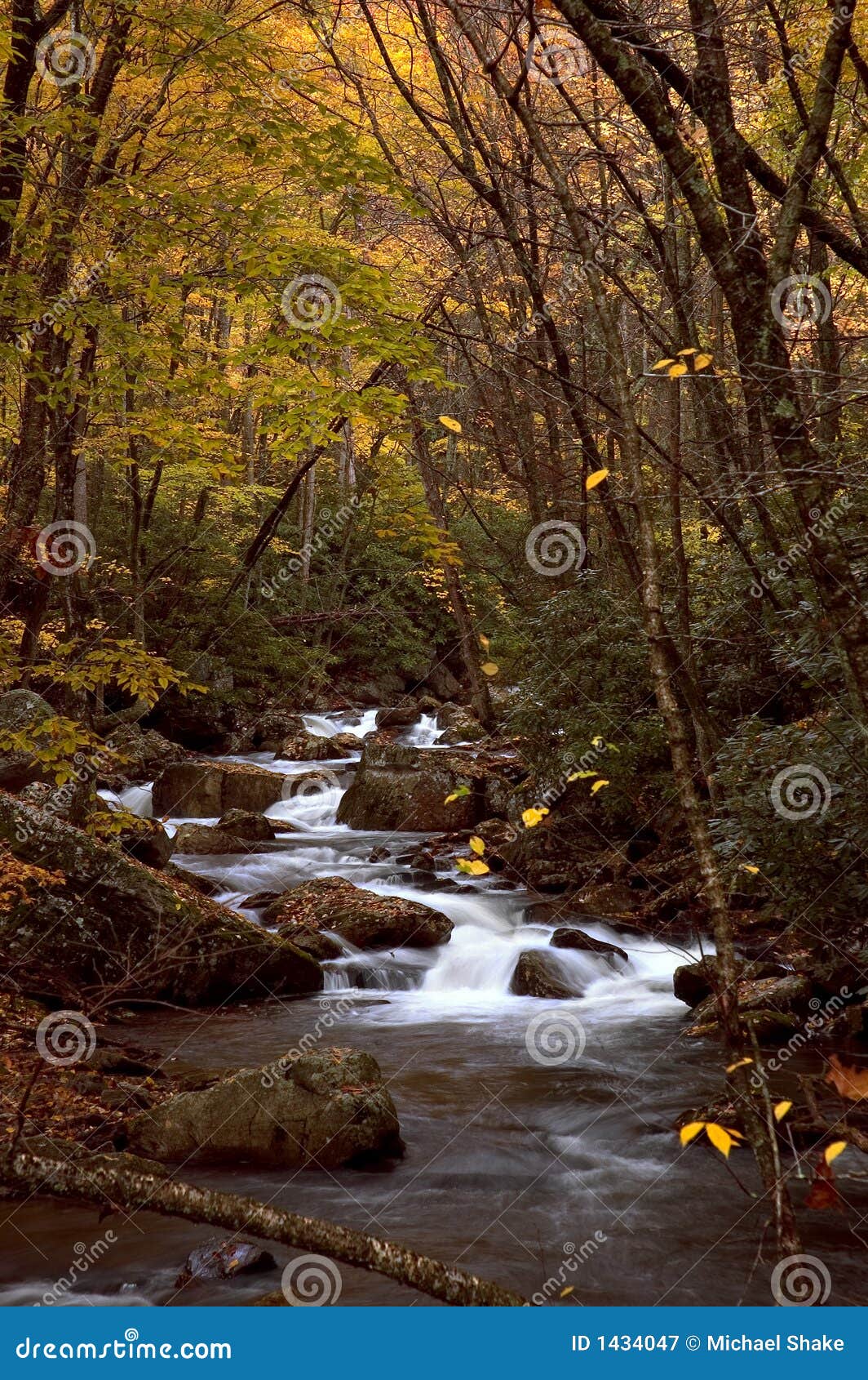 Autumn Forest Cascade stock image. Image of autumn, creek - 1434047