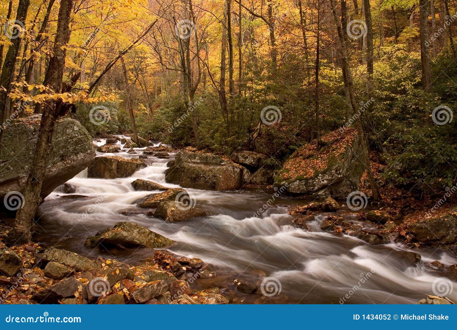 Autumn Forest Cascade stock photo. Image of beautiful - 1434052
