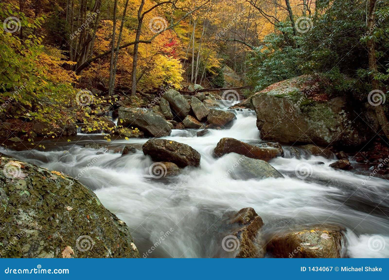 Autumn Forest Cascade stock image. Image of stream, waterfall - 1434067