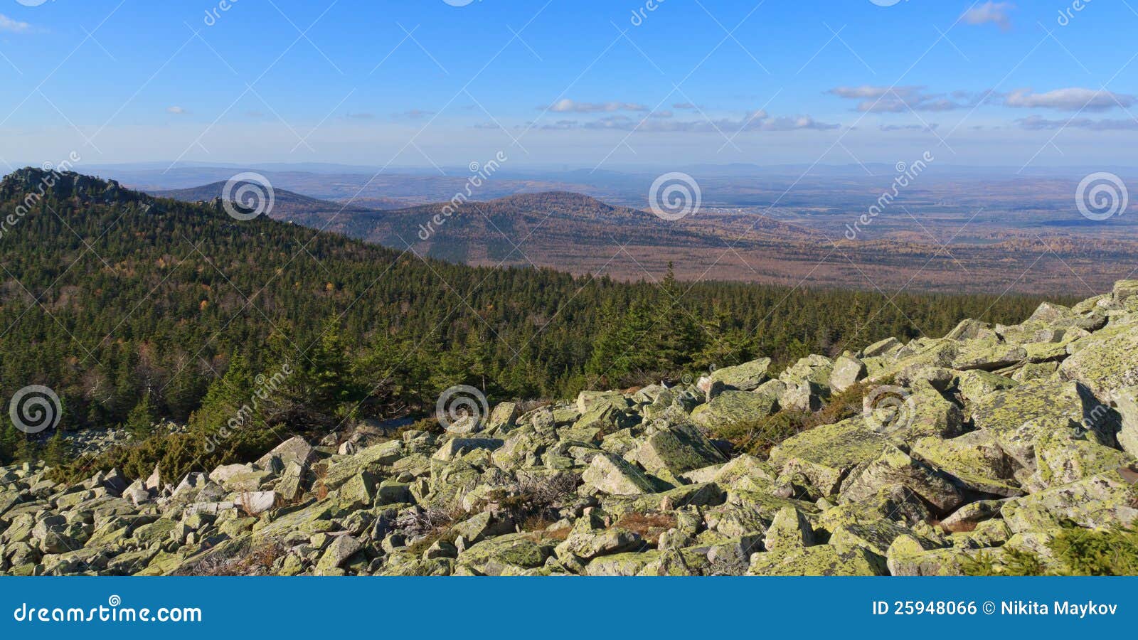 Autumn Forest in the Distance Stock Photo - Image of hardwood, foliage ...