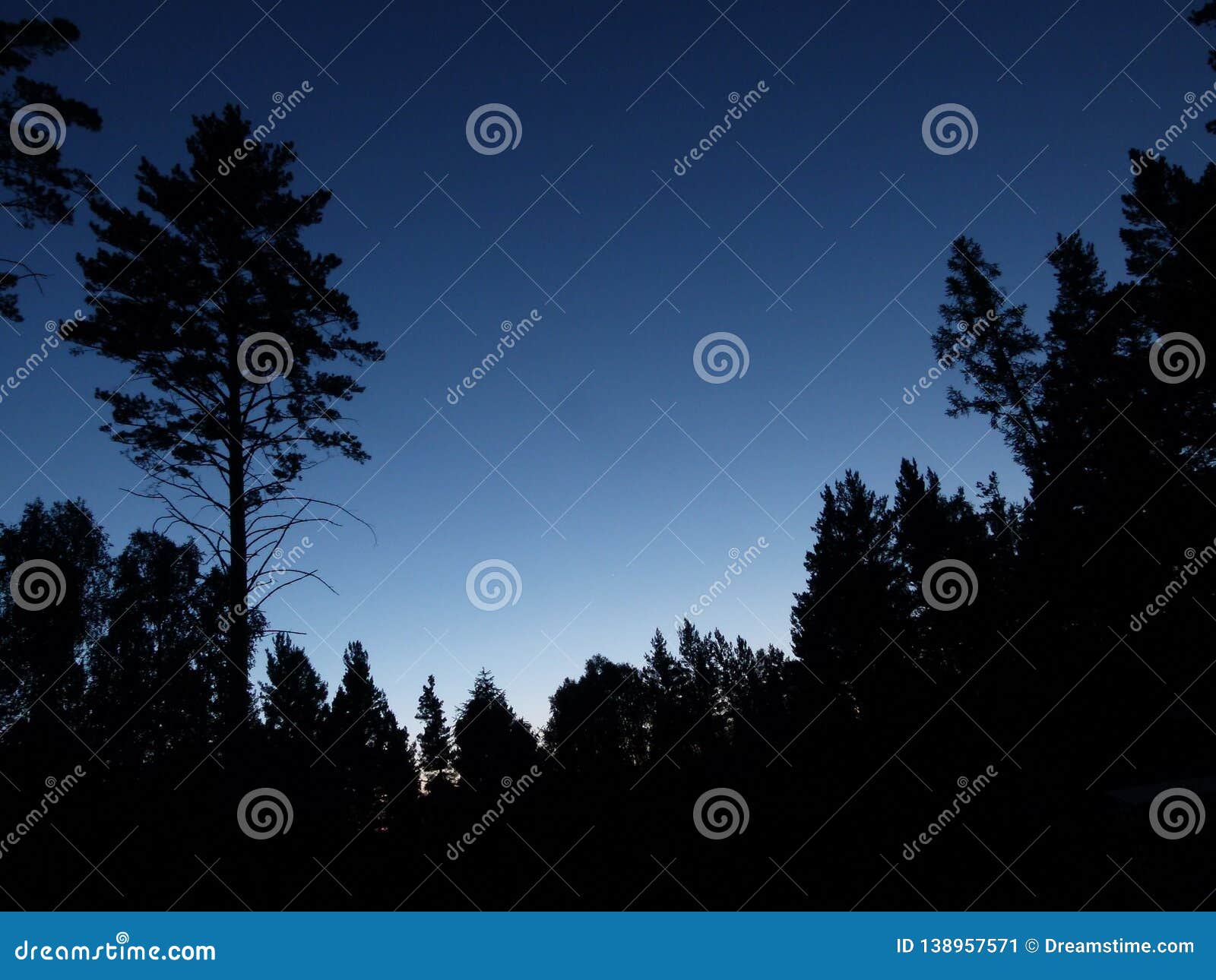 Autumn Forest Dusk Down Night Stock Image - Image of darke, nature ...