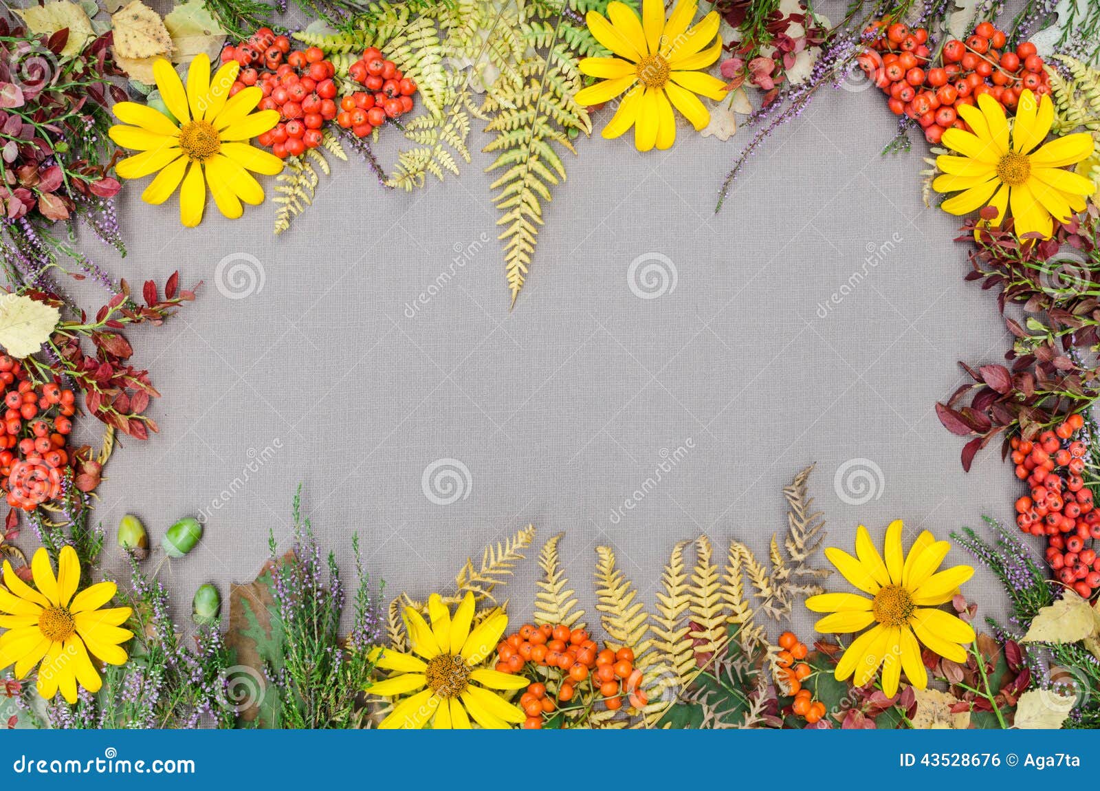 Autumn forest frame stock photo. Image of group, empty - 43528676