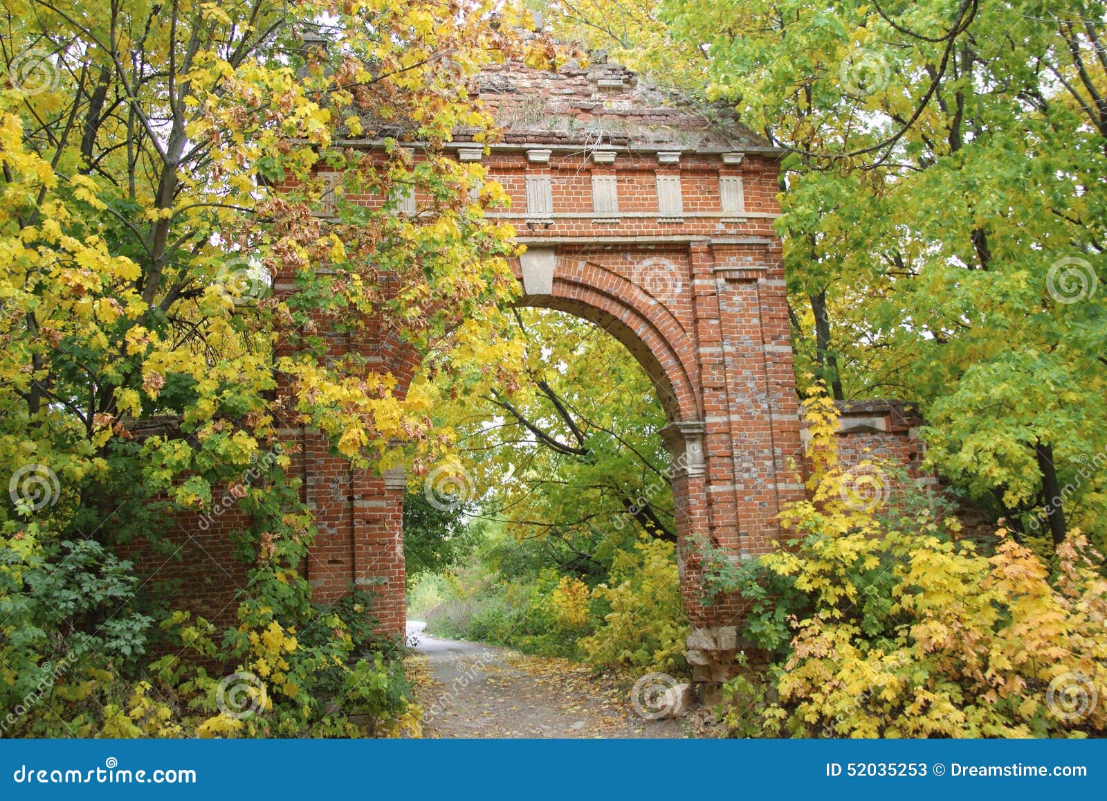 Autumn forest stock image. Image of entry, port, portal - 52035253