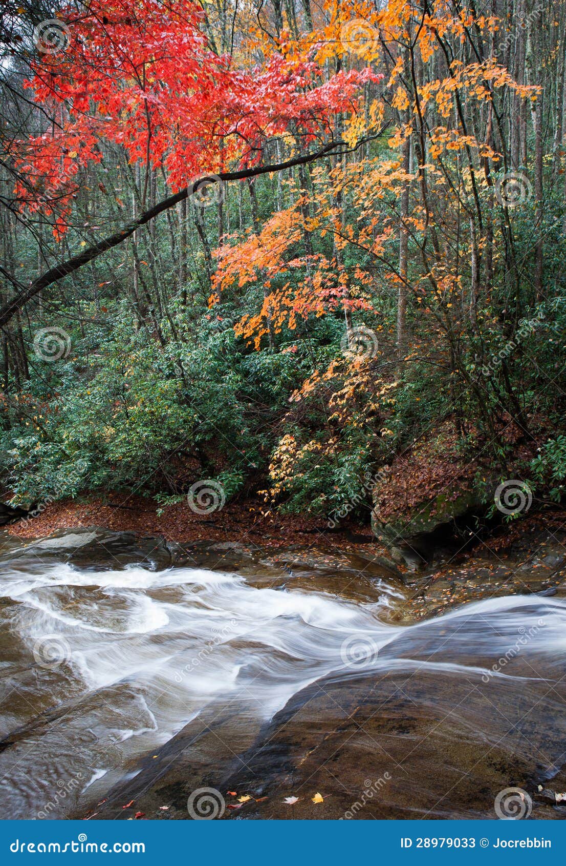 Autumn Forest with Gentle Waterfall Stock Image - Image of davidson ...