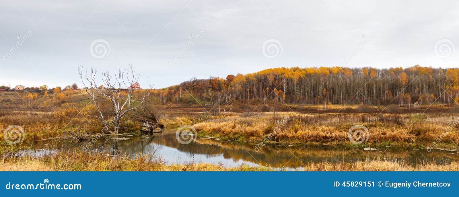 Autumn forest on the hills stock image. Image of rural - 45829151