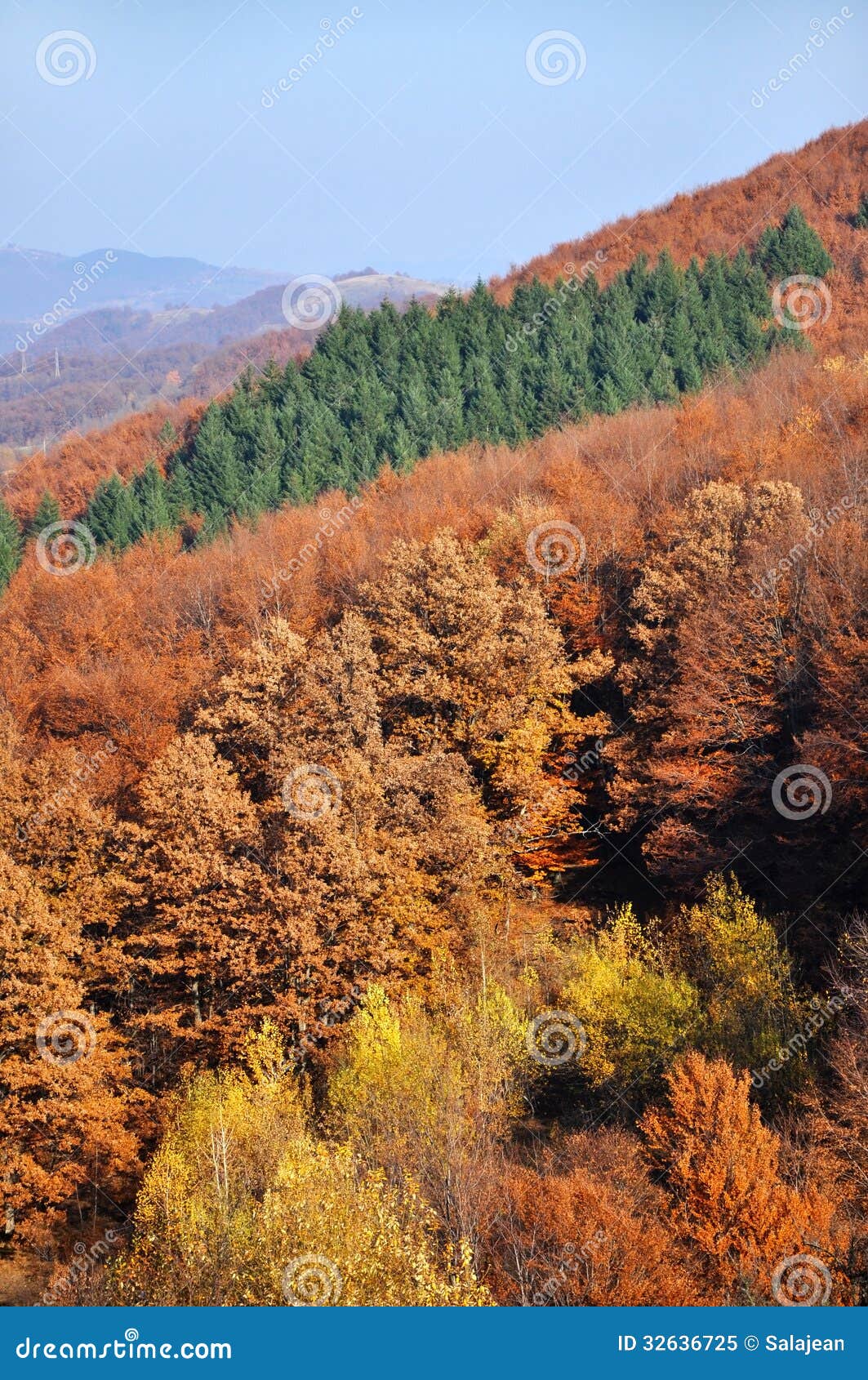 Autumn forest on the hills stock image. Image of beautiful - 32636725