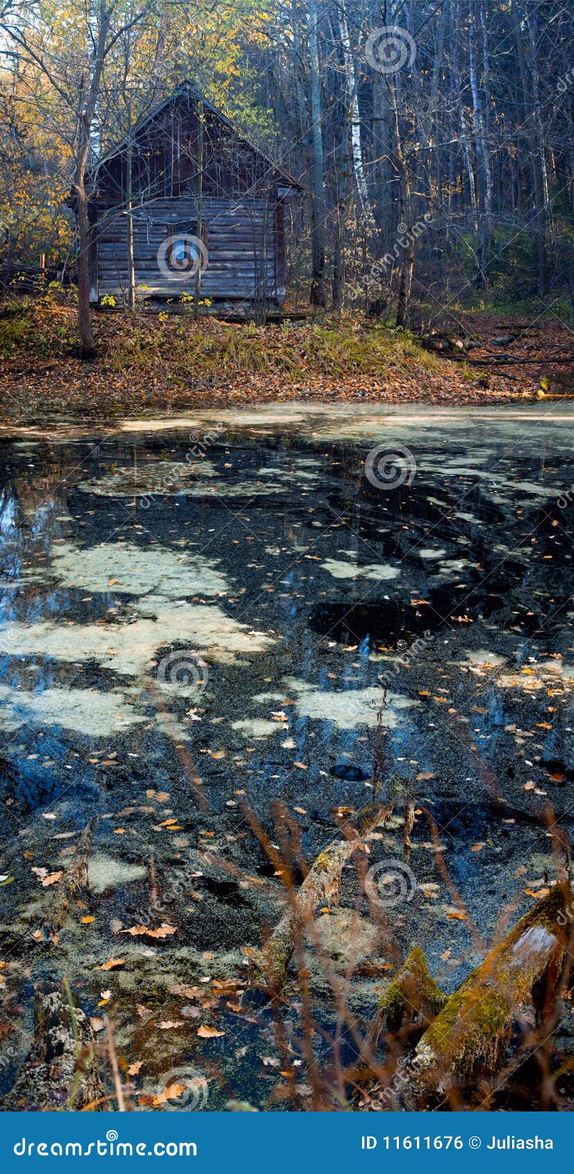 Autumn forest with house stock photo. Image of nature - 11611676