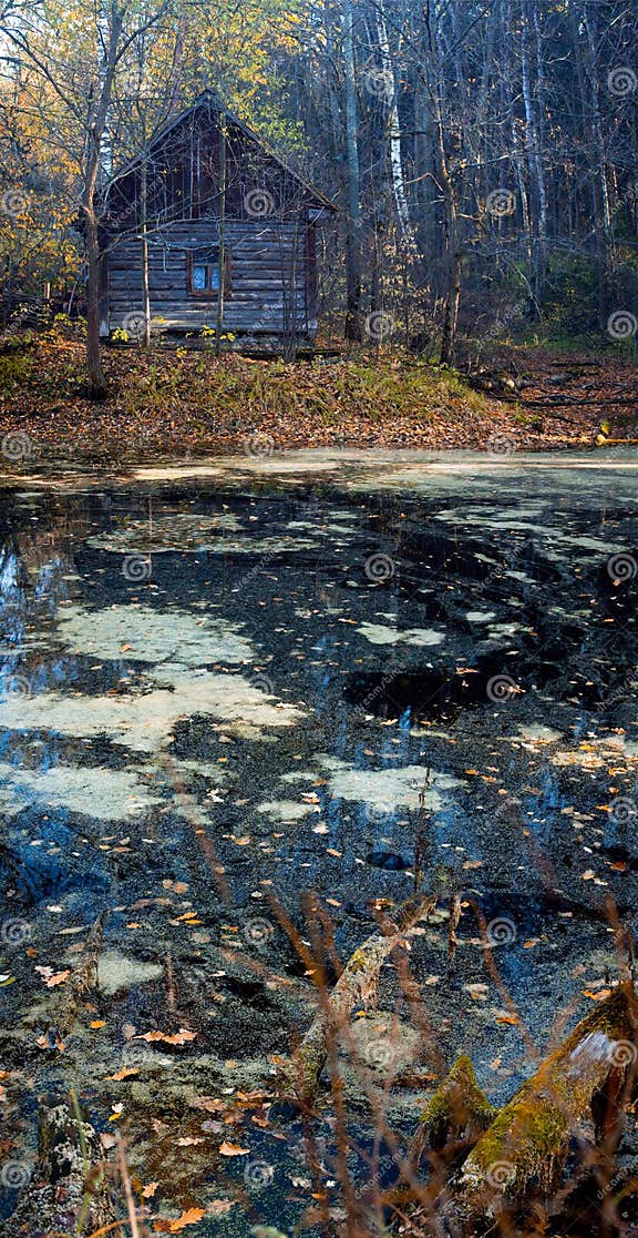 Autumn forest with house stock photo. Image of nature - 11611676