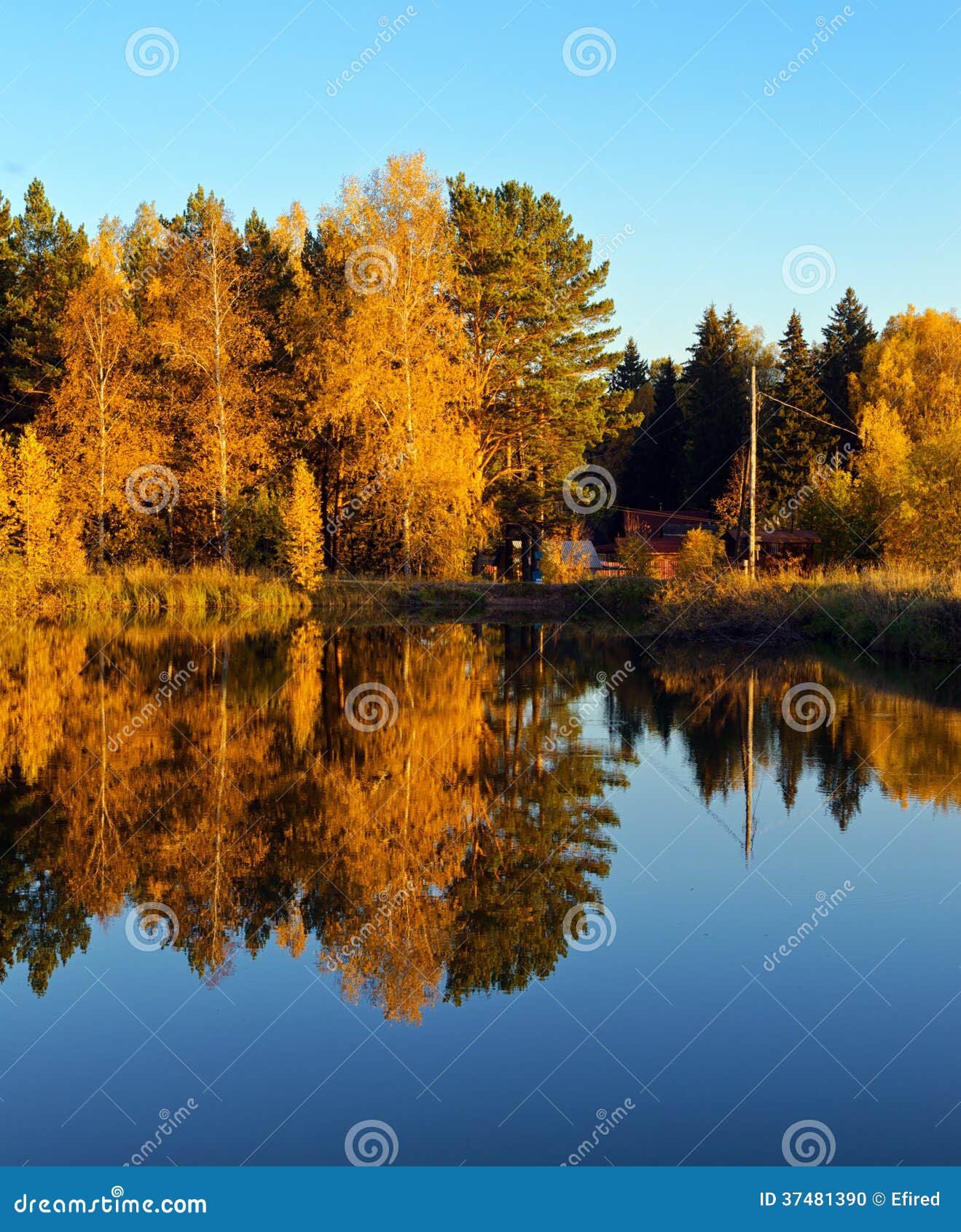 Autumn Forest and Lake in the Fall Season Stock Photo - Image of ...