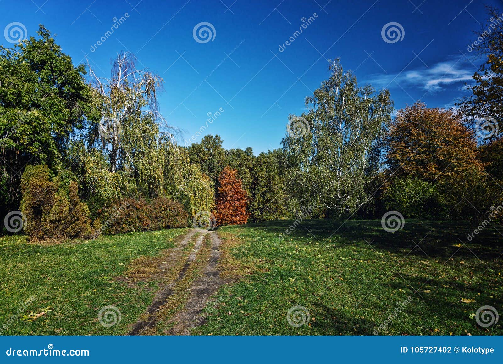 Autumn Forest Landscape Against Blue Sky with a Path Stock Photo ...