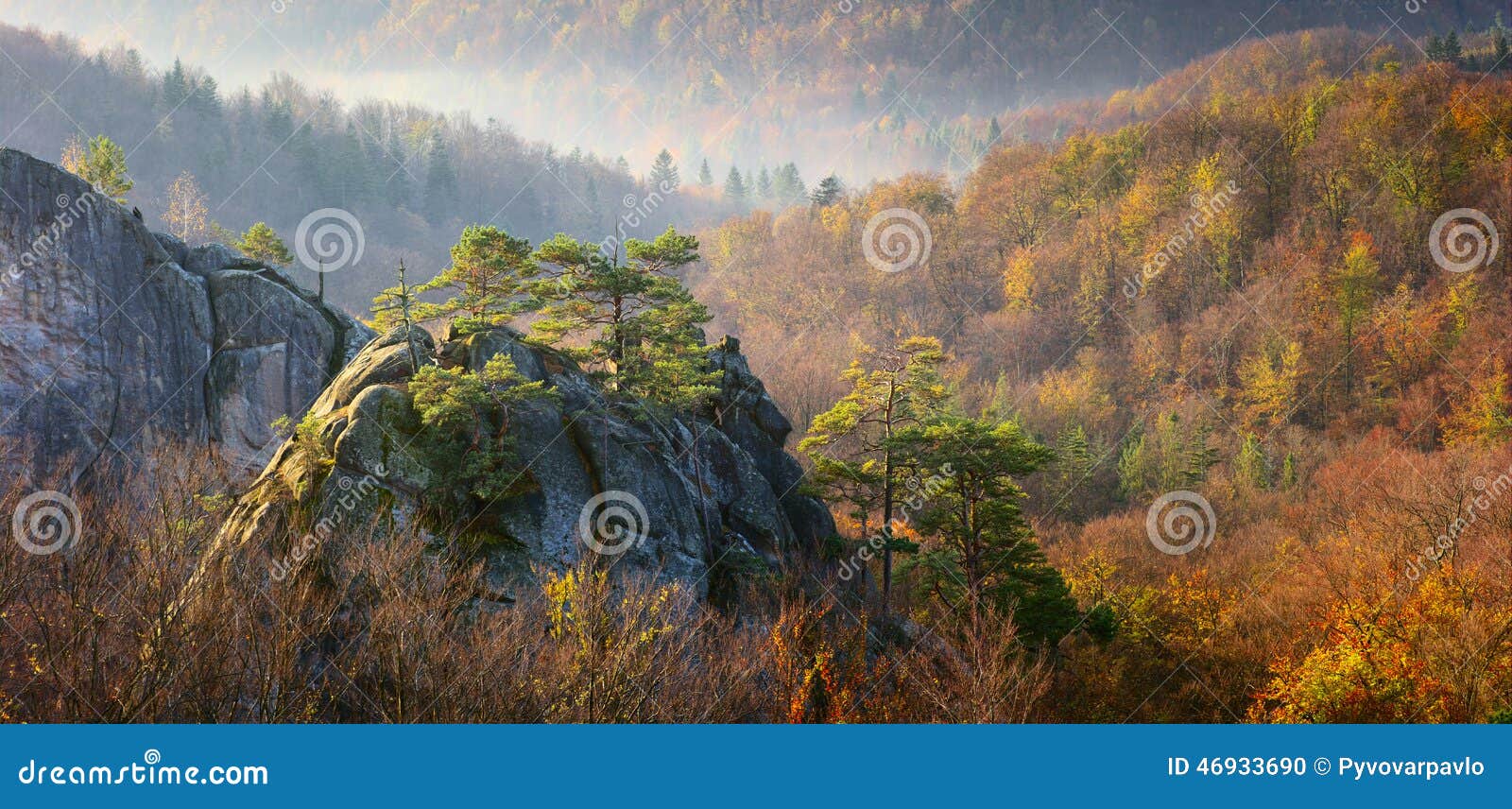 Autumn forest stock photo. Image of nature, carpathian - 46933690
