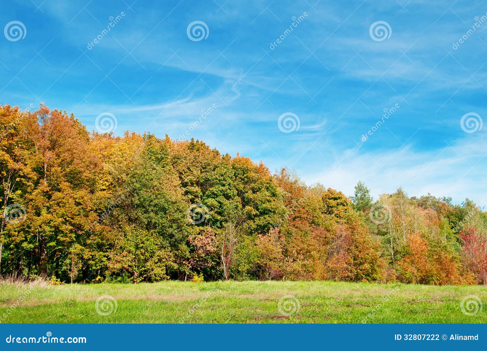 Autumn Forest, Meadow and Blue Sky Stock Photo - Image of idyllic ...