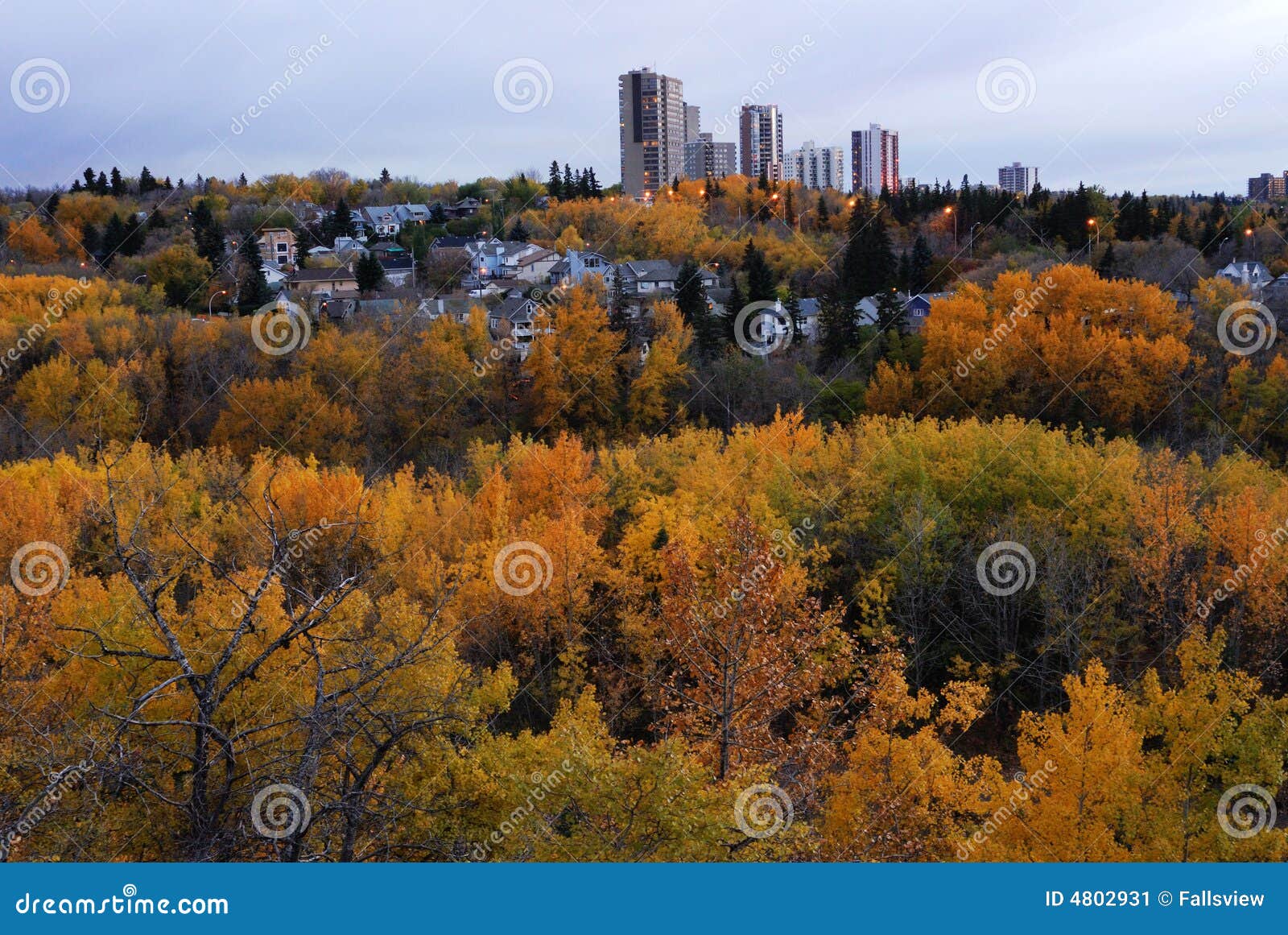 Autumn Forest in Mill Creek Valley Stock Image - Image of canada ...