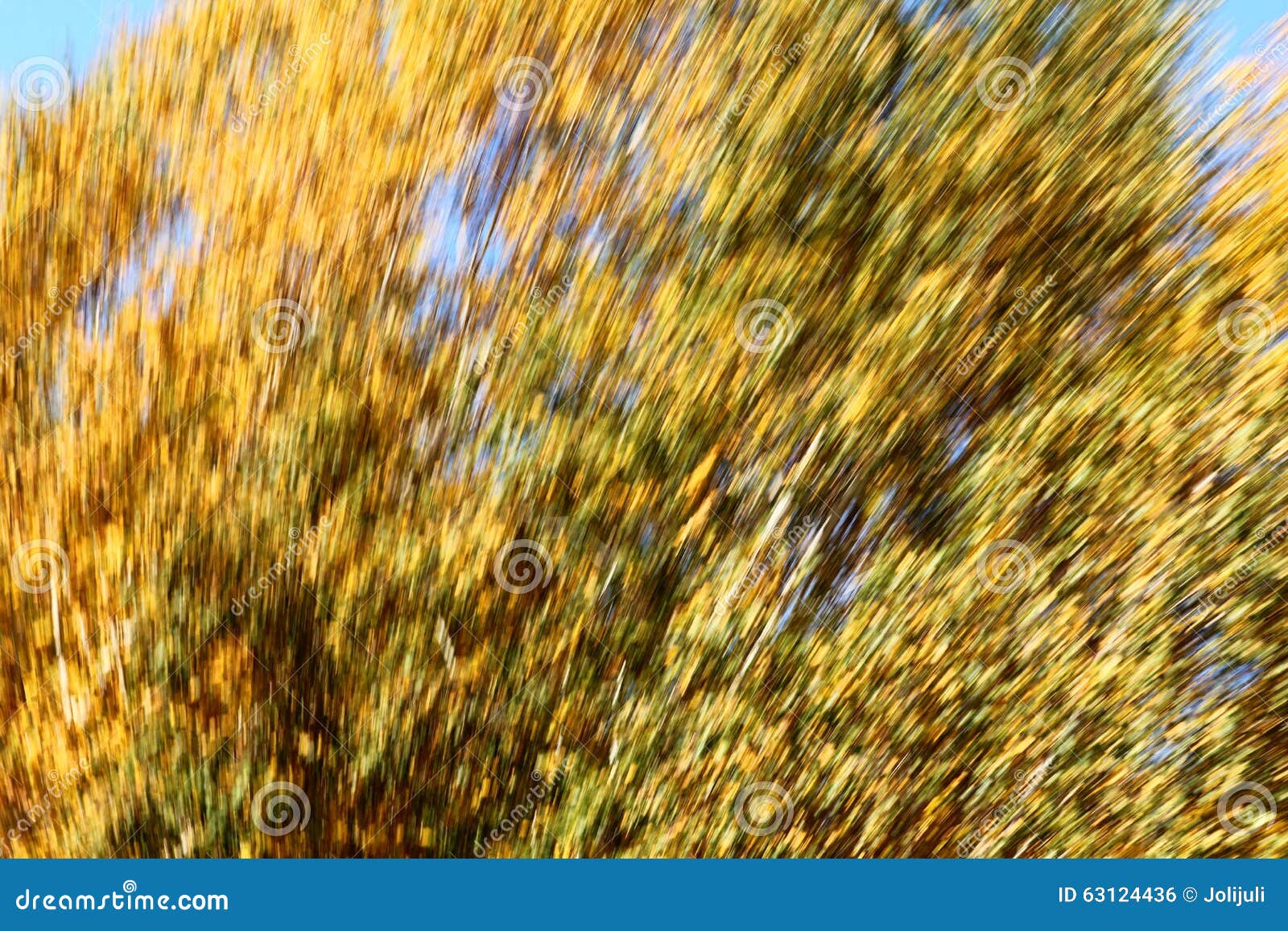 Autumn forest motion blur stock photo. Image of leaves - 63124436
