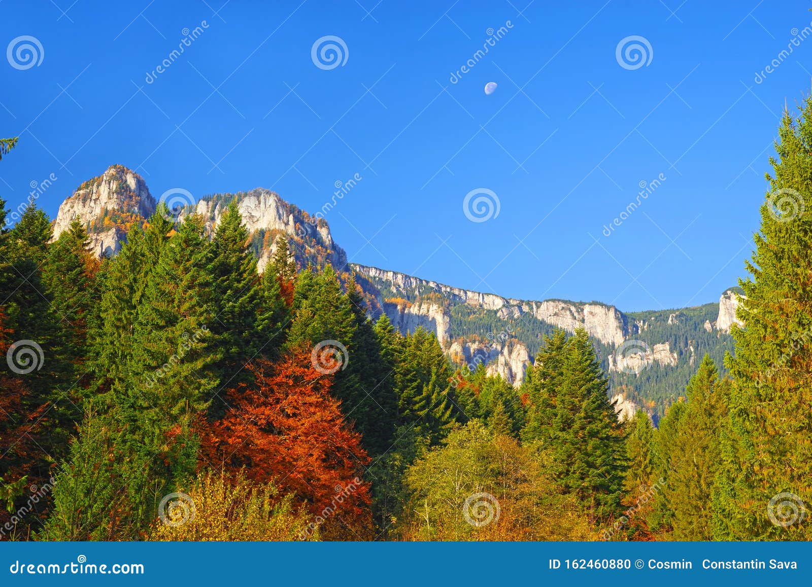 Autumn forest and mountain stock photo. Image of hike - 162460880