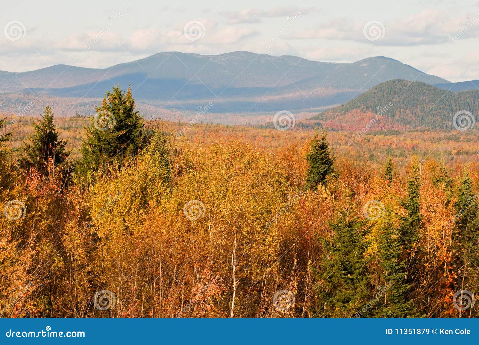 Autumn Forest and Mountains Stock Image - Image of foliage, forested ...