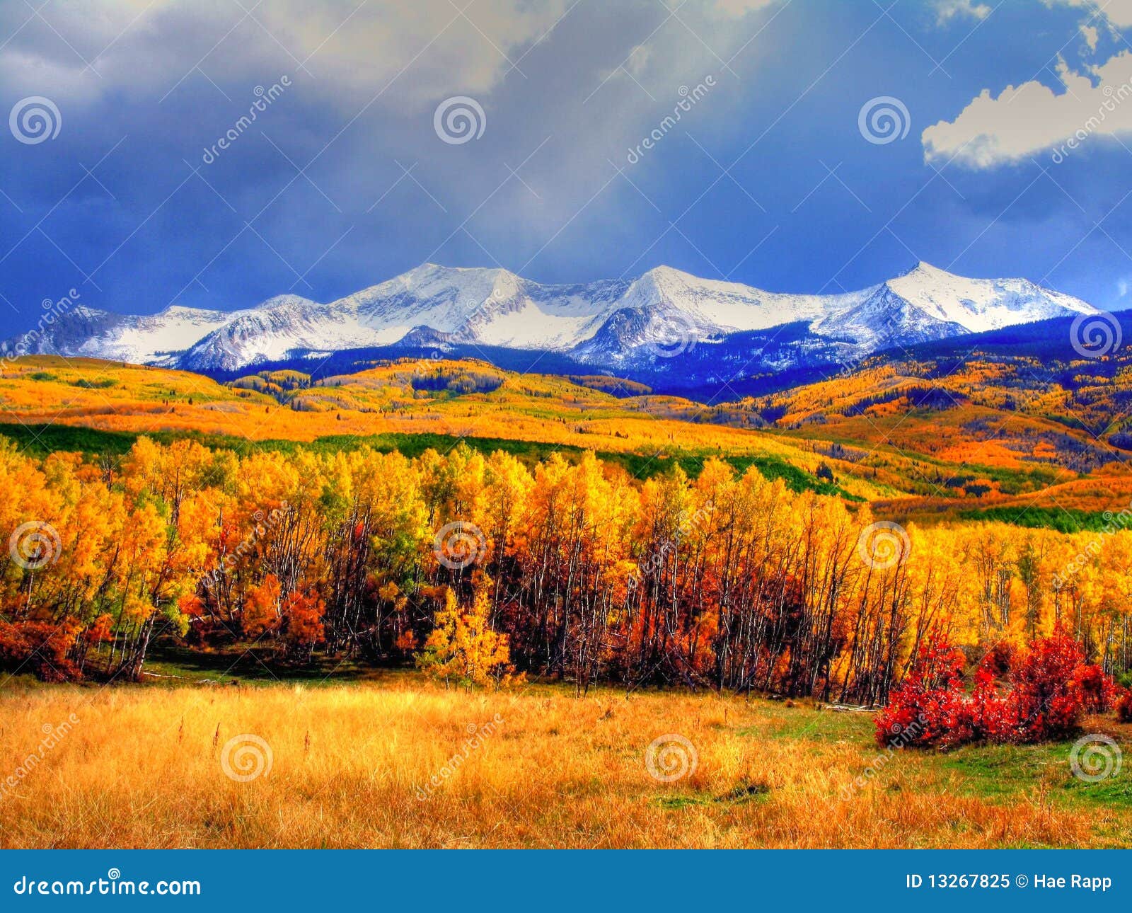 Autumn Forest and Mountains Stock Image - Image of landscape, america ...