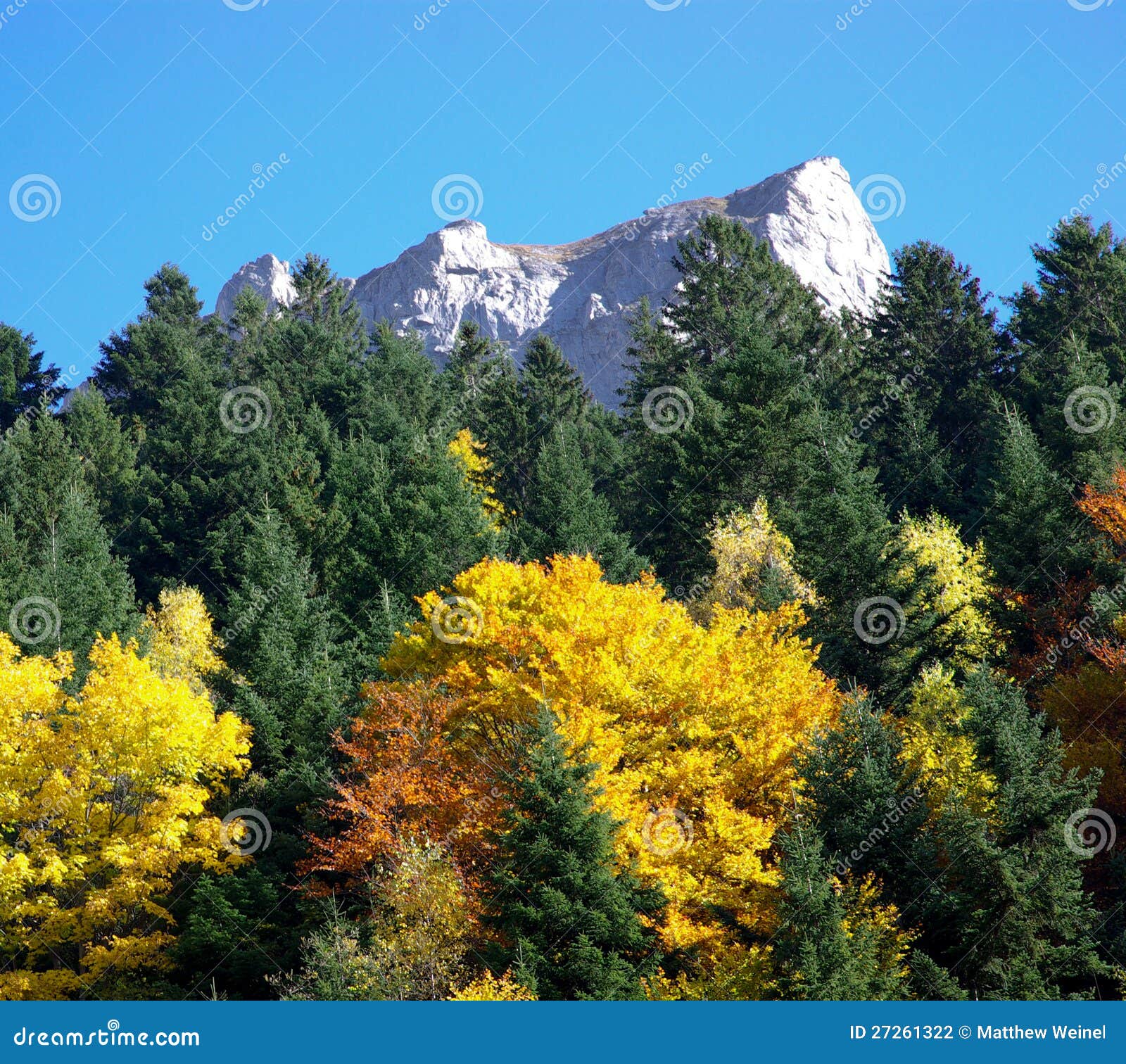 Autumn Forest and Mountains Stock Photo - Image of leafy, peaks: 27261322
