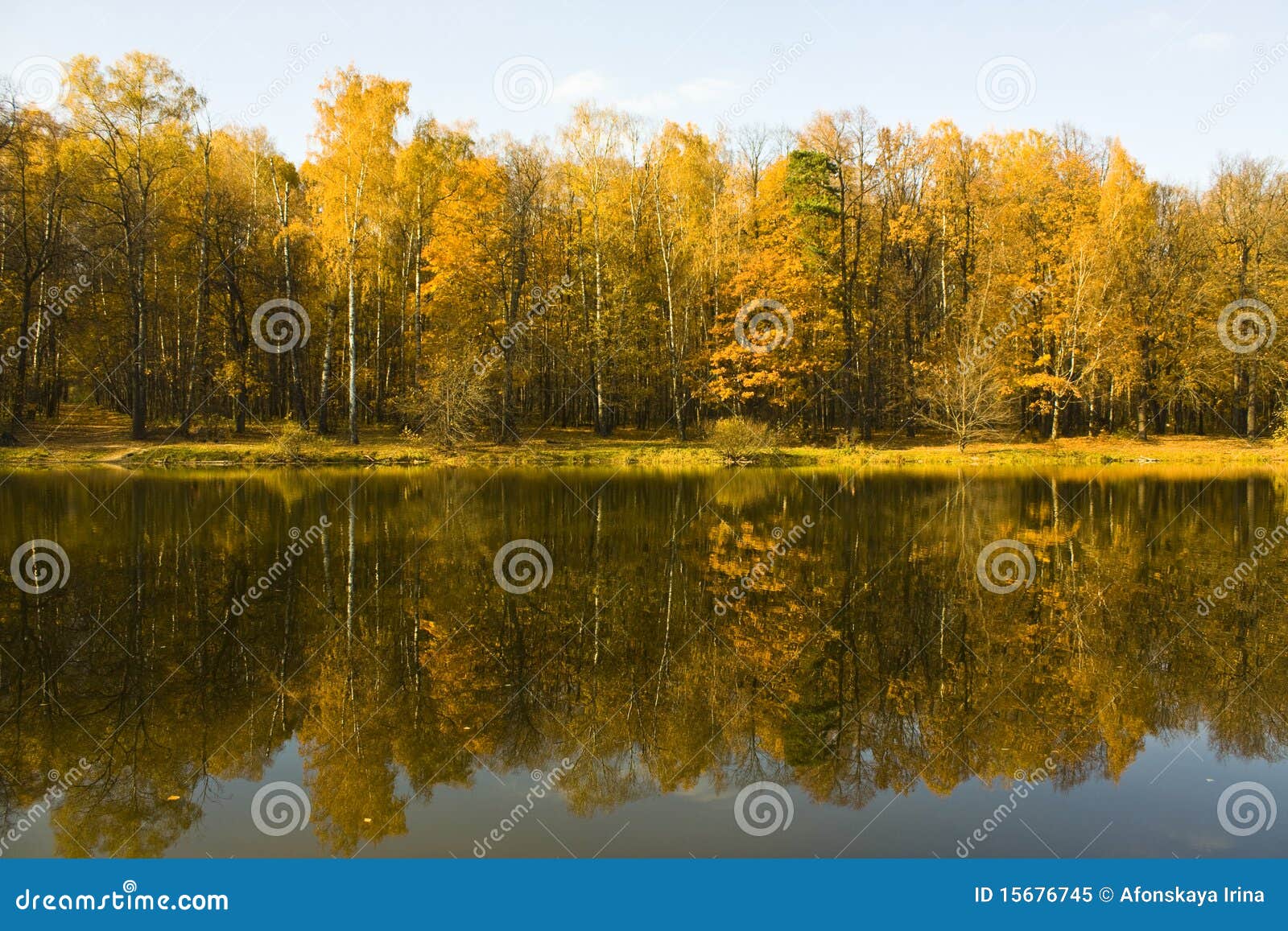 Autumn forest near lake stock image. Image of golden - 15676745