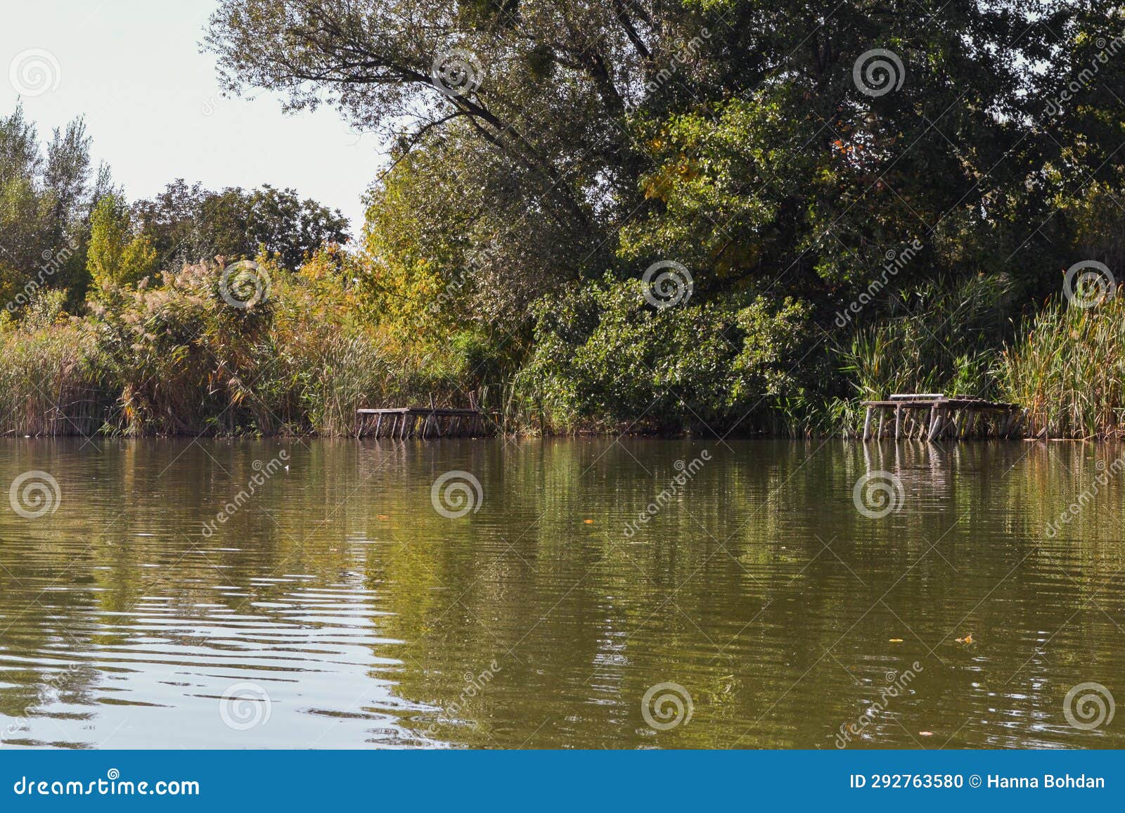 Autumn Forest Near the Lake Stock Photo - Image of kharkiv, relax ...