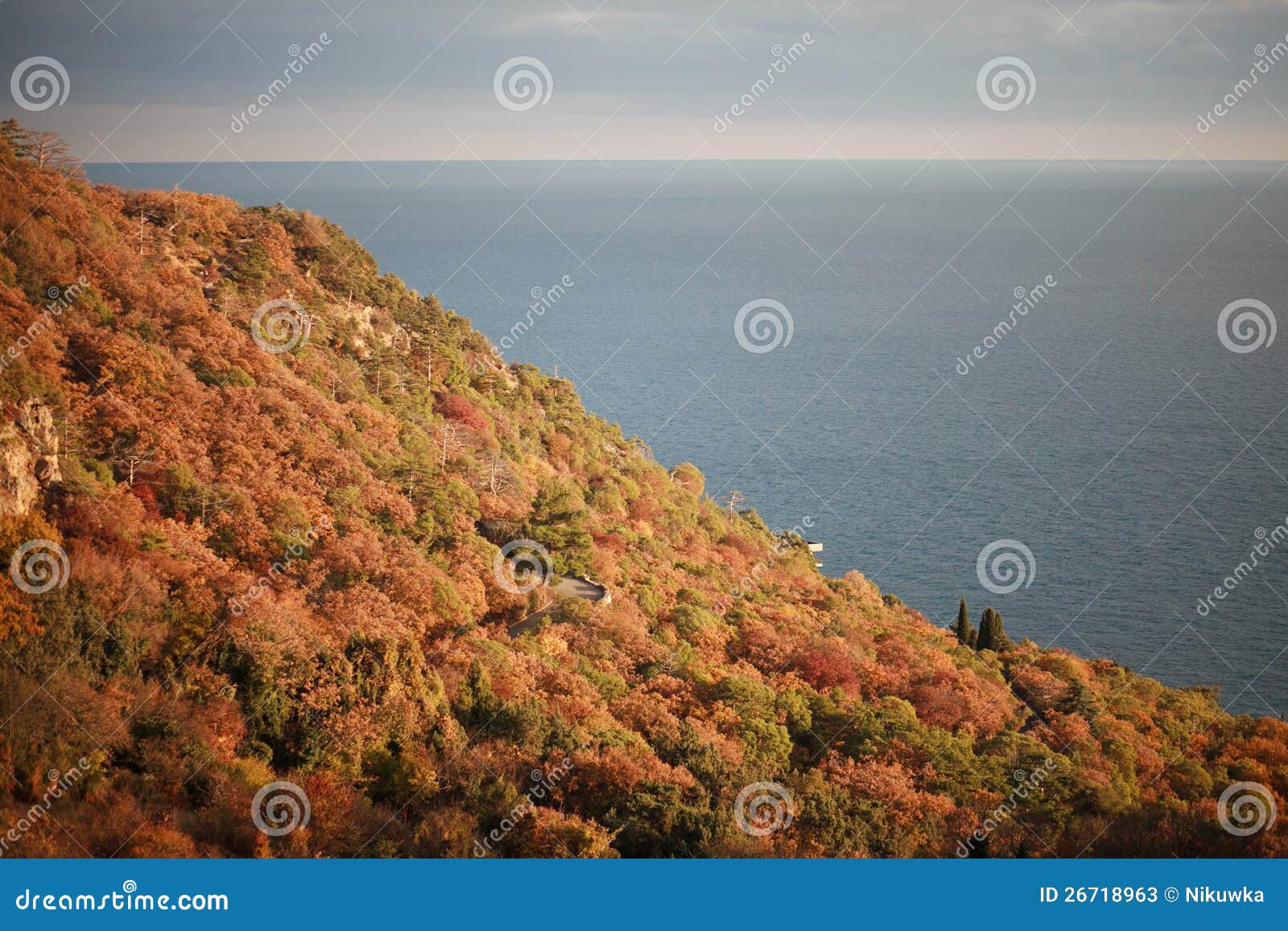 Autumn forest near the sea stock image. Image of beauty - 26718963