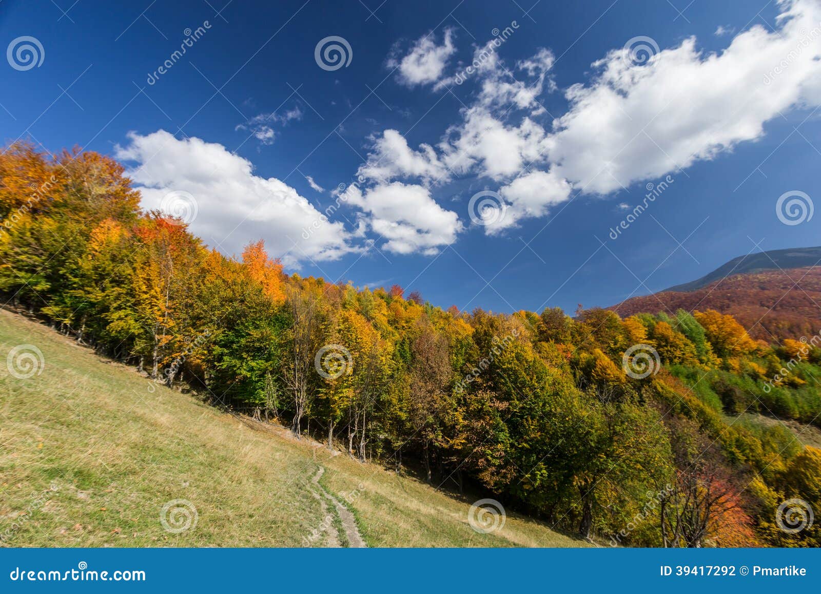 Autumn Forest and Path in the Meadow Stock Photo - Image of meadow ...