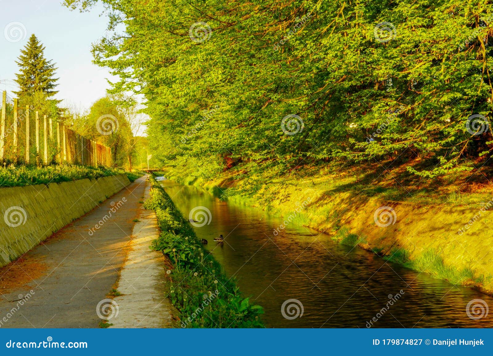 Autumn Forest Path River Stream Landscape. Forest Path River Stream in ...