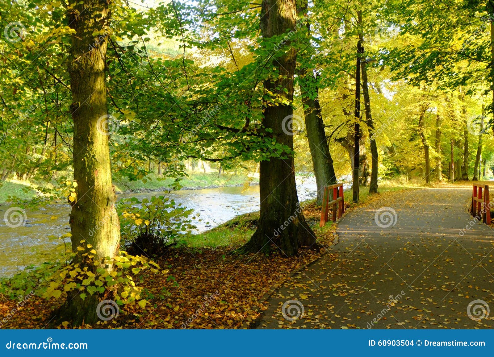 Autumn Forest Path by the River Stock Photo - Image of dropping ...