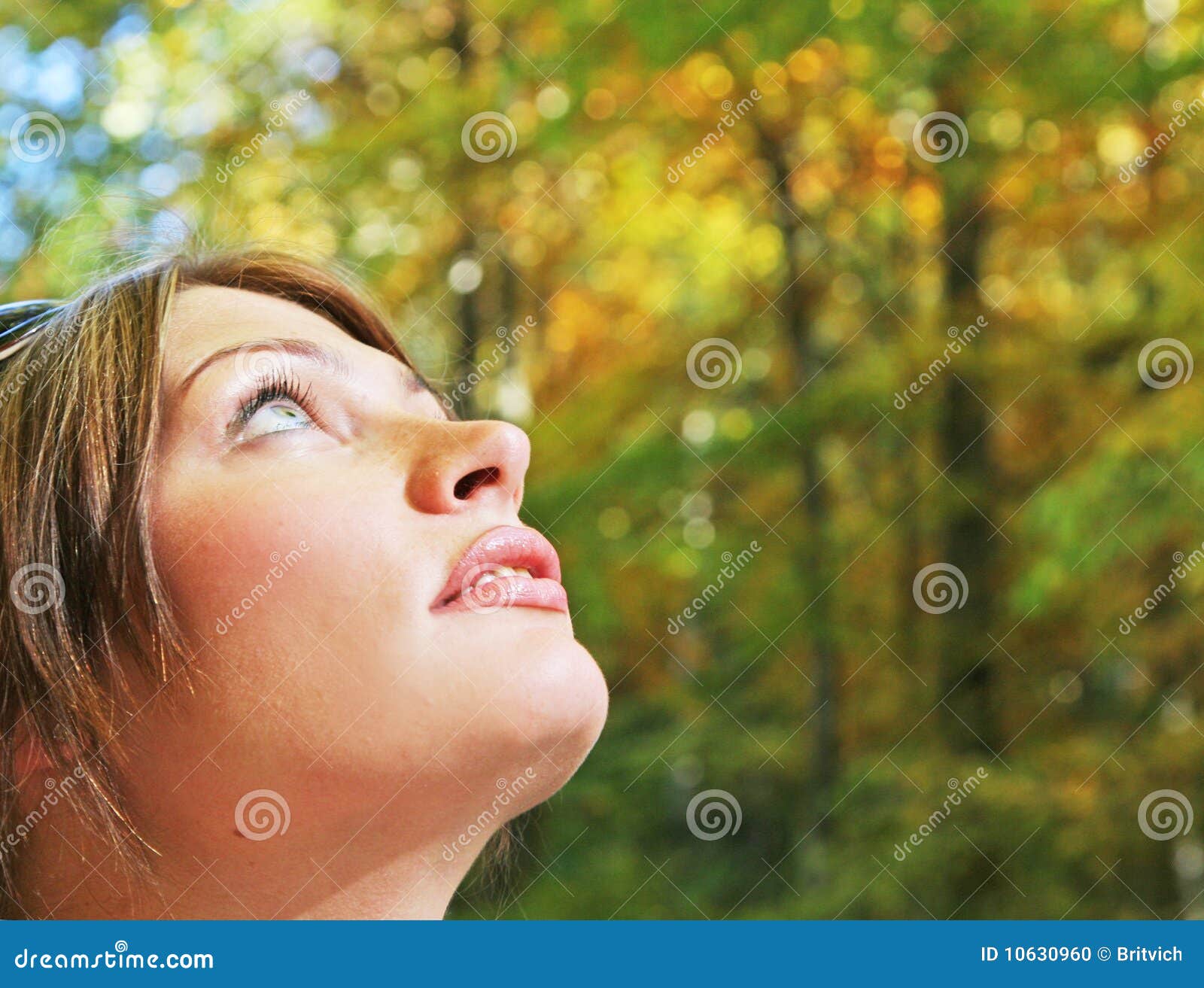 Autumn forest portrait stock photo. Image of branch, happy - 10630960