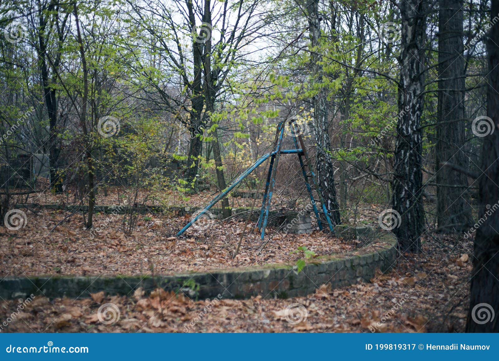 Autumn Forest in Pripyat in Chernobyl Stock Image - Image of chernobyl ...