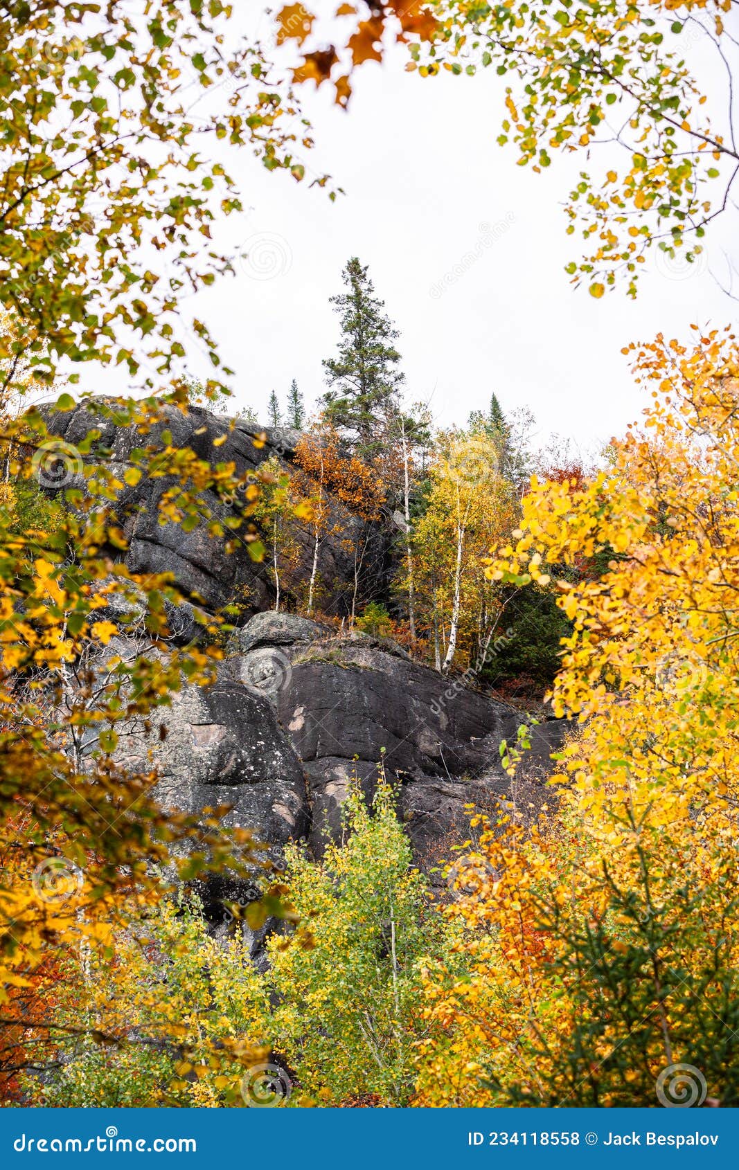Autumn Forest in the Province of Quebec Stock Photo - Image of trees ...