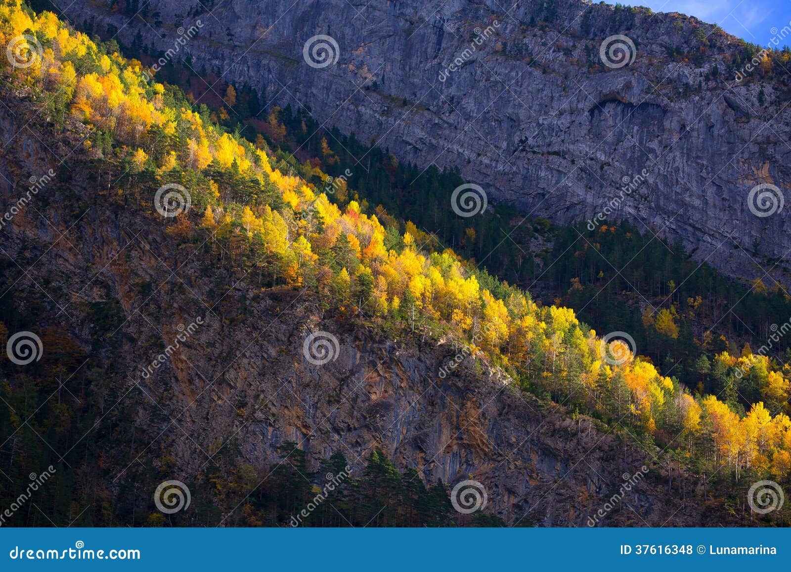 Autumn Forest in Pyrenees Valle De Ordesa Huesca Spain Stock Photo ...