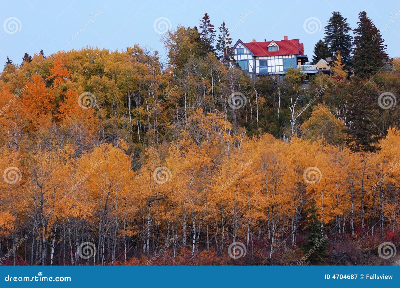 Autumn Forest and Red House Stock Image - Image of north, colorful: 4704687