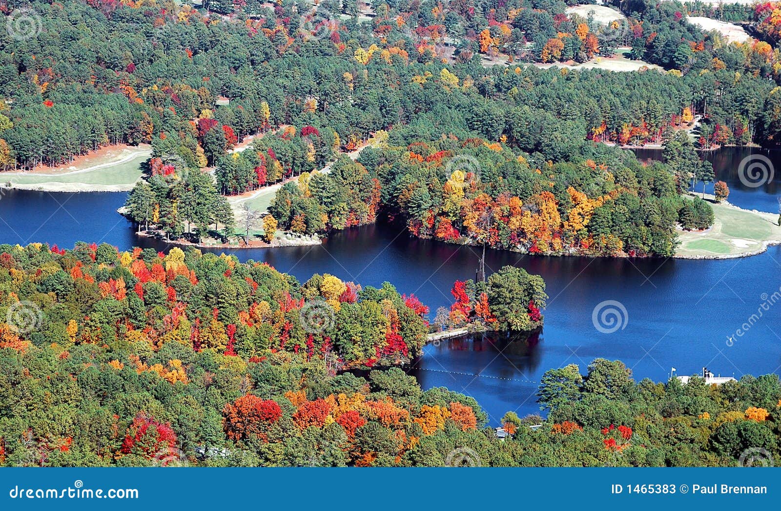 Autumn forest and river stock image. Image of outdoors - 1465383