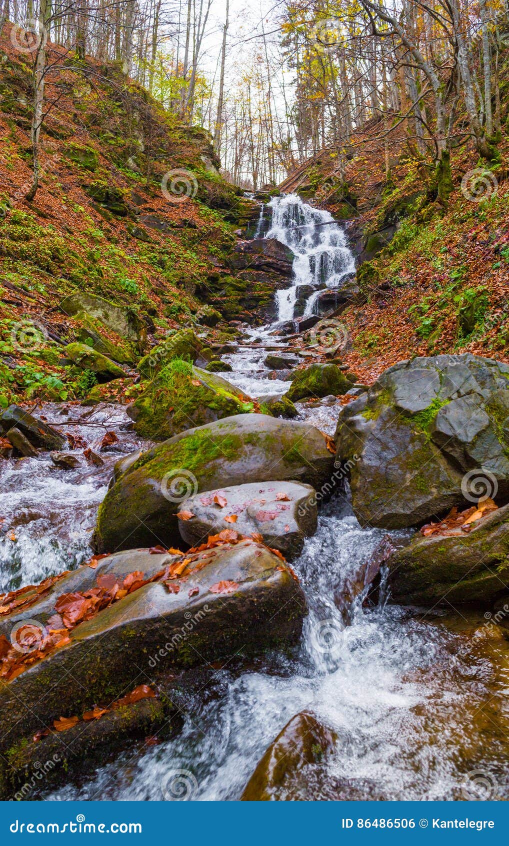 Autumn Forest with River and Waterfall Stock Photo - Image of grass ...