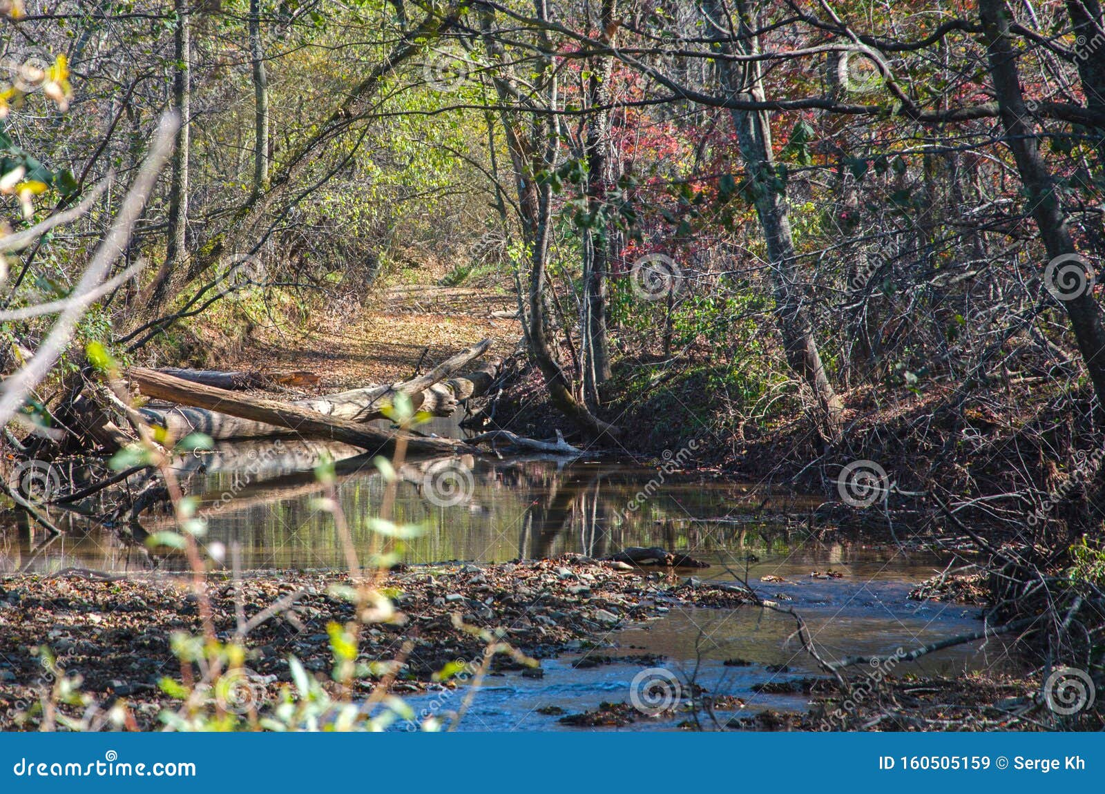 Autumn Forest. River in the Wild Forest Stock Image - Image of autumn ...