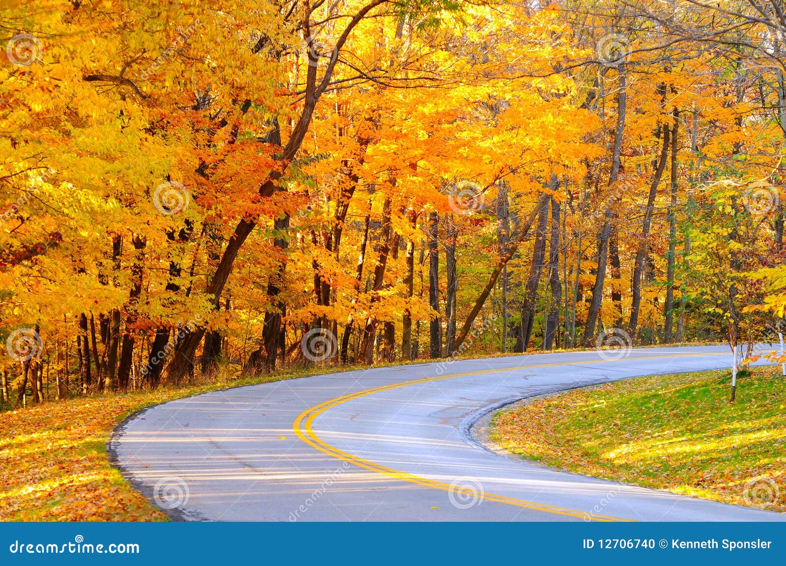 Autumn Forest Road Stock Photo - Image: 12706740