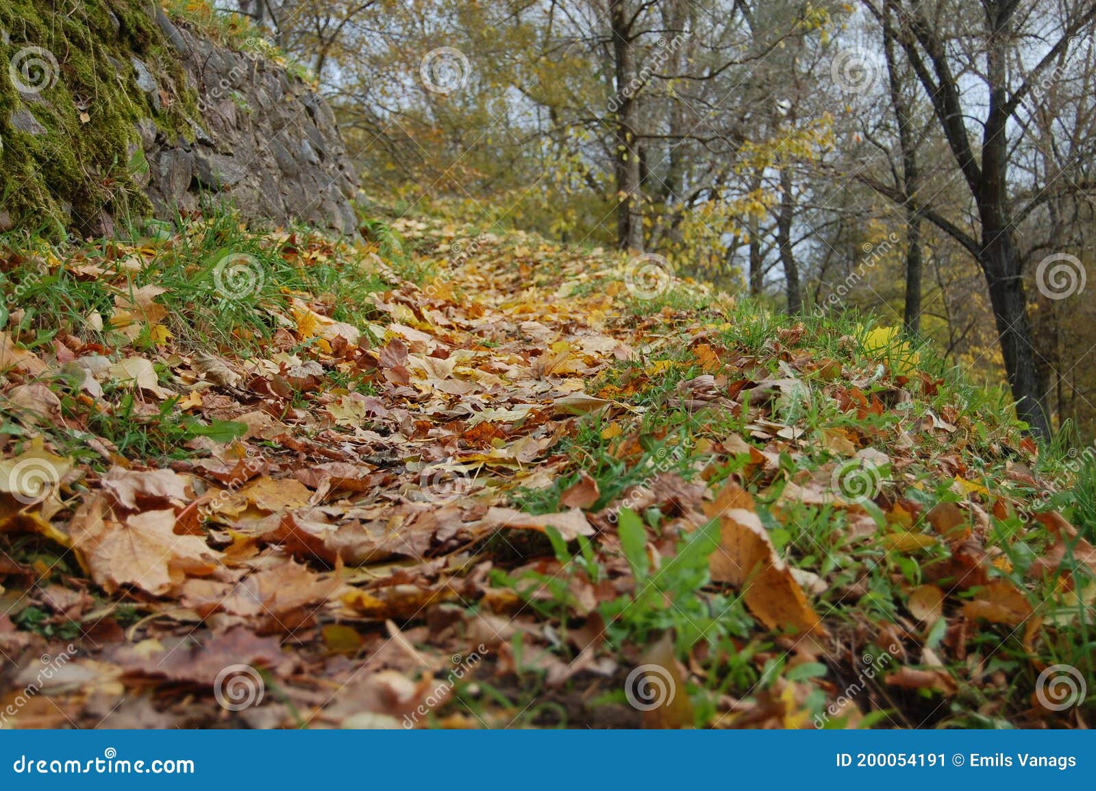 Top View Of Ground Sandy Background Royalty-Free Stock Photography ...