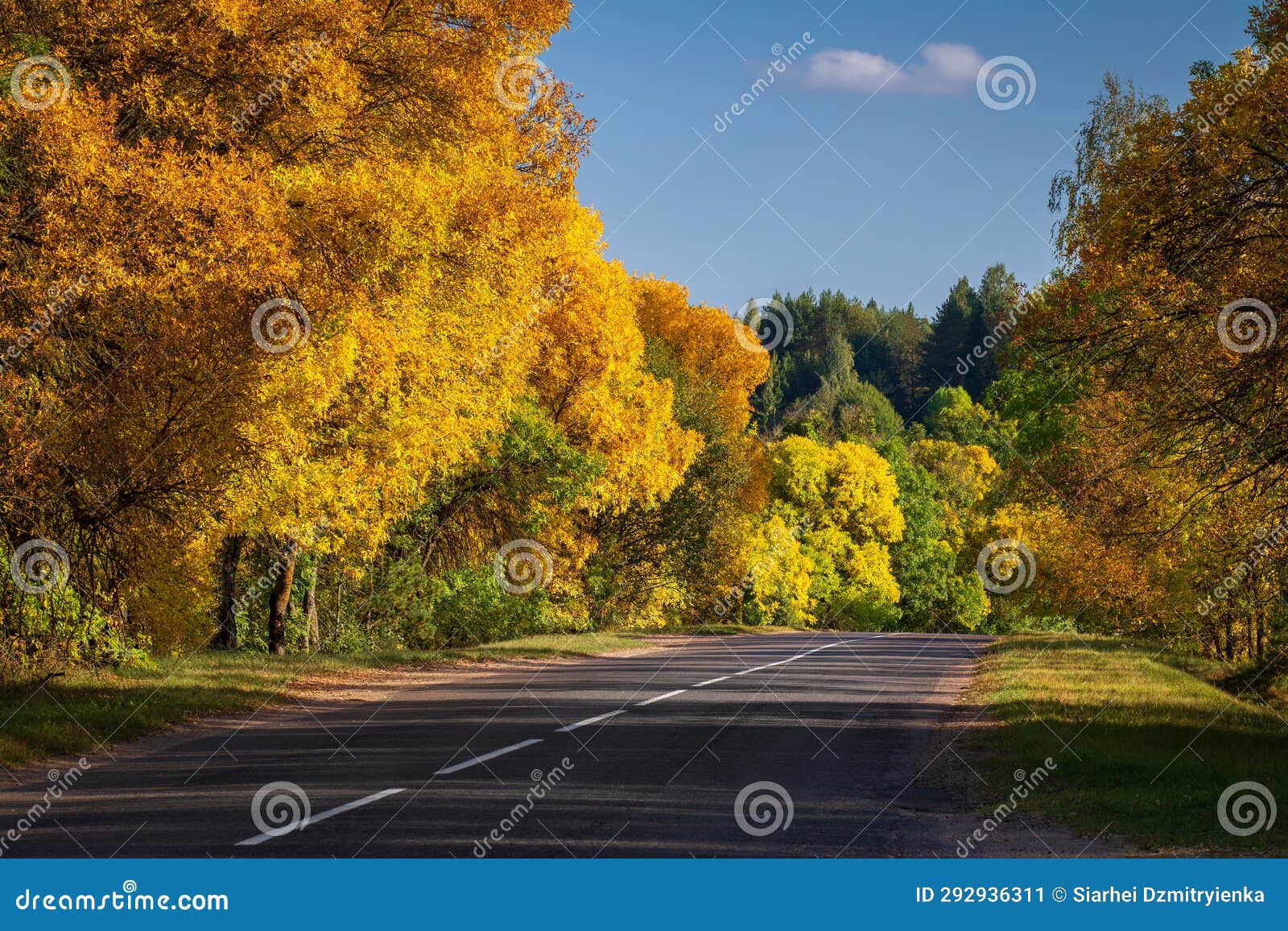 Autumn Forest Road Scenery View. Beautiful View from Inside the Forest ...