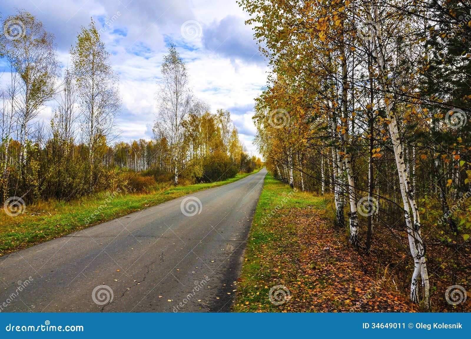 Autumn forest. Russia stock image. Image of clouds, japanese - 34649011