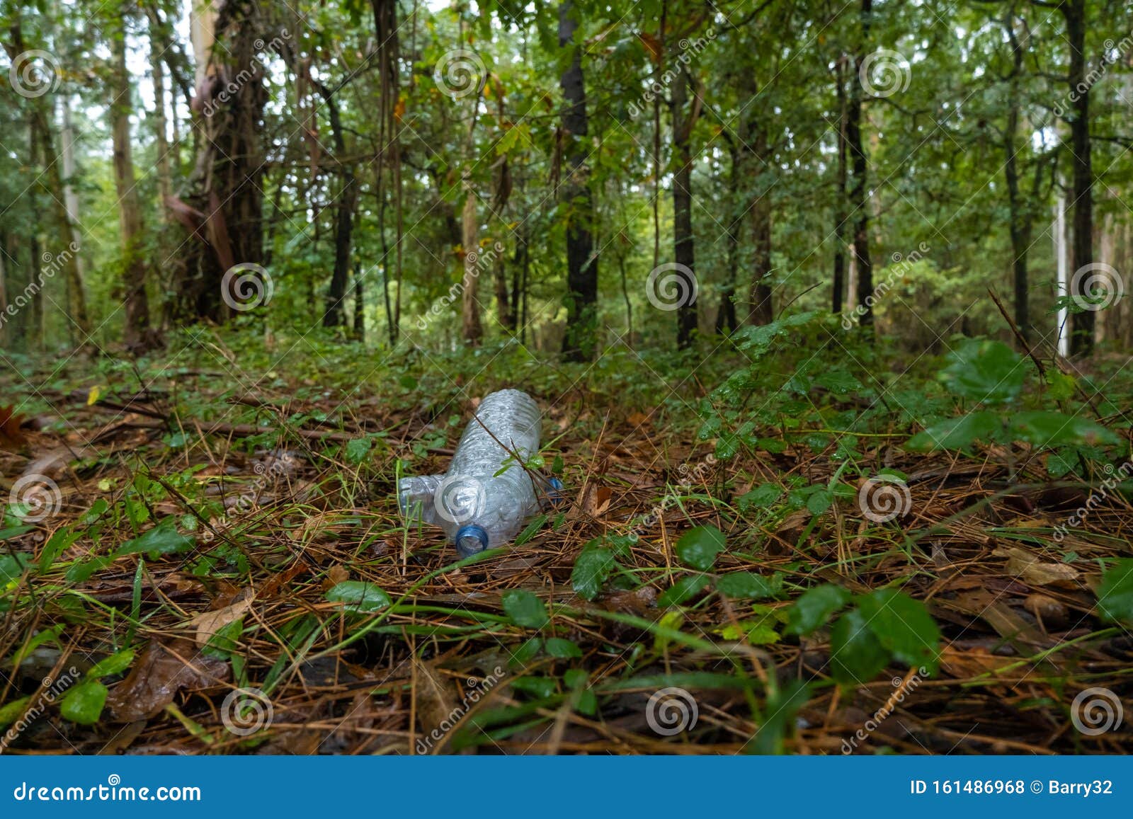 Autumn Forest Scene with Fallen Leaves and Plastic Bottles on the ...
