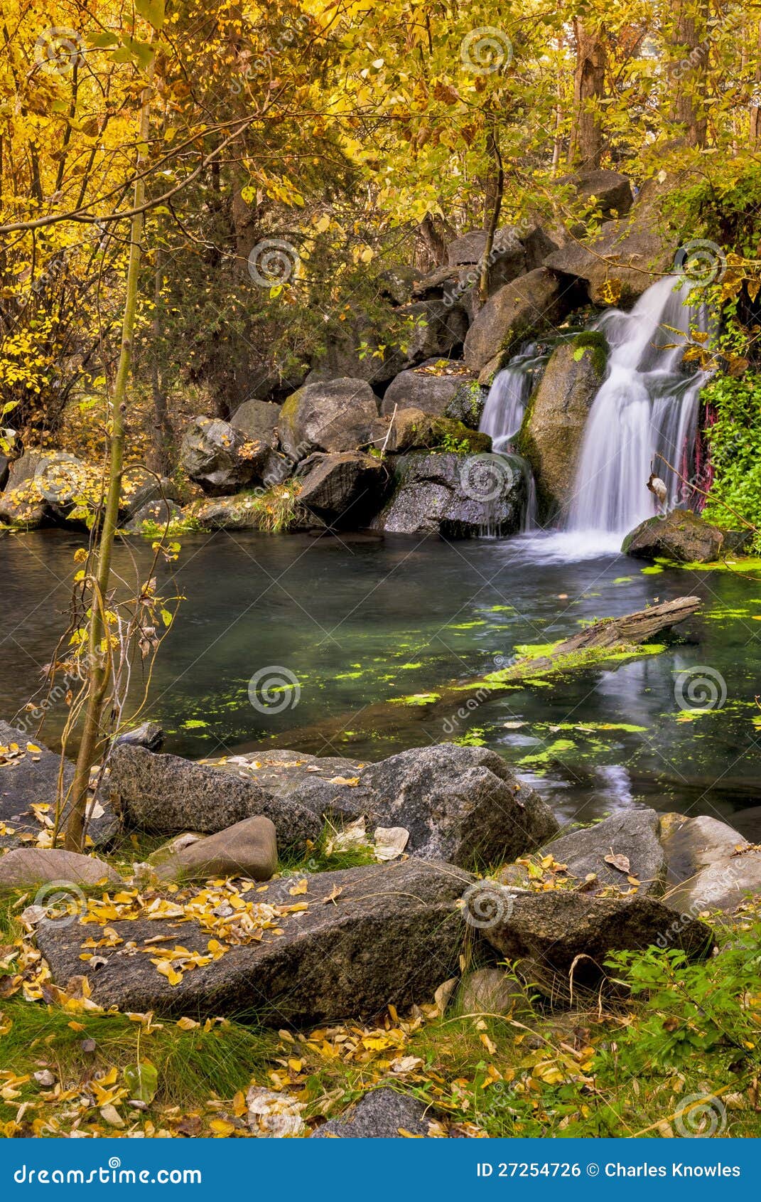 Autumn Forest with a Small Waterfall and Pond Stock Photo - Image of ...