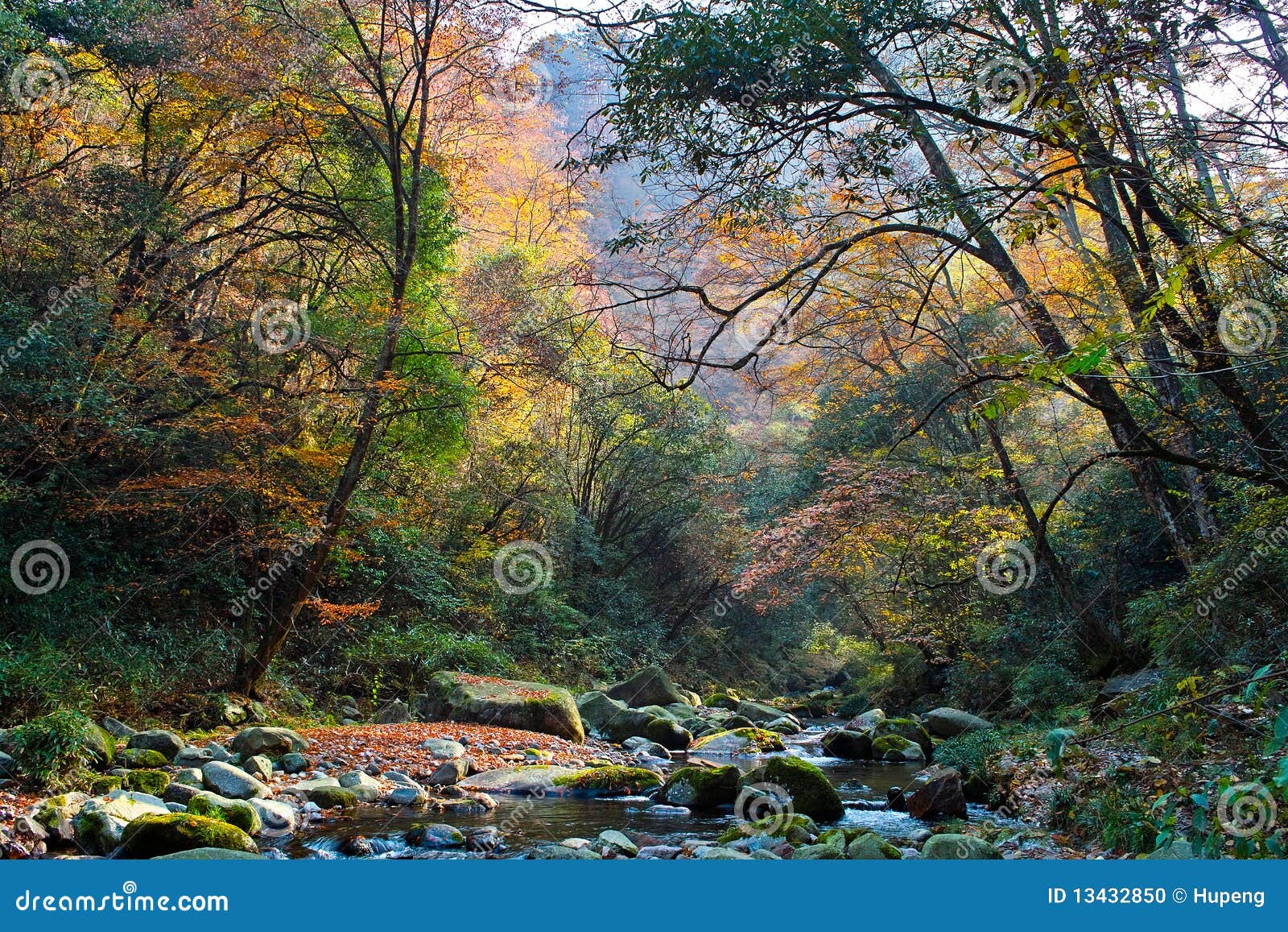 Autumn forest stream stock photo. Image of blur, holiday - 13432850