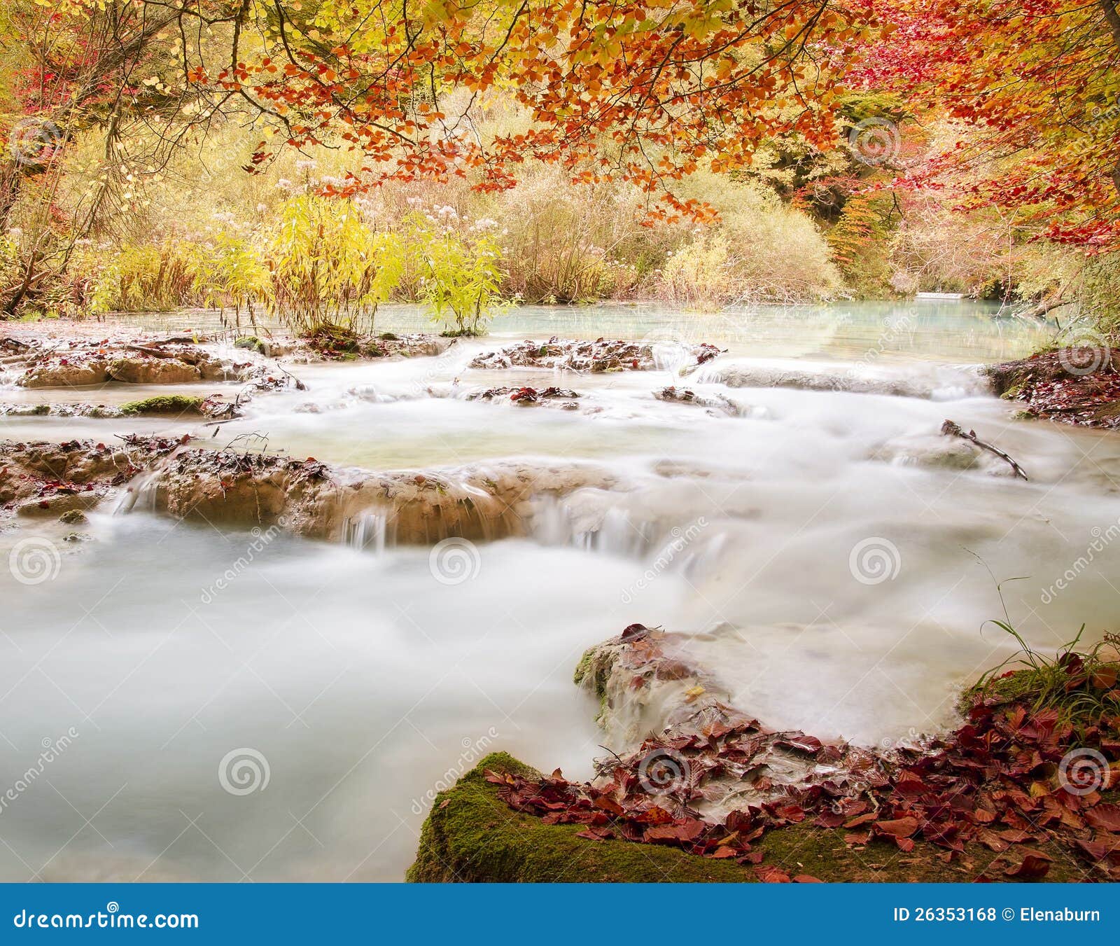 Autumn Forest and Stream River, Fall Season Stock Photo - Image of ...