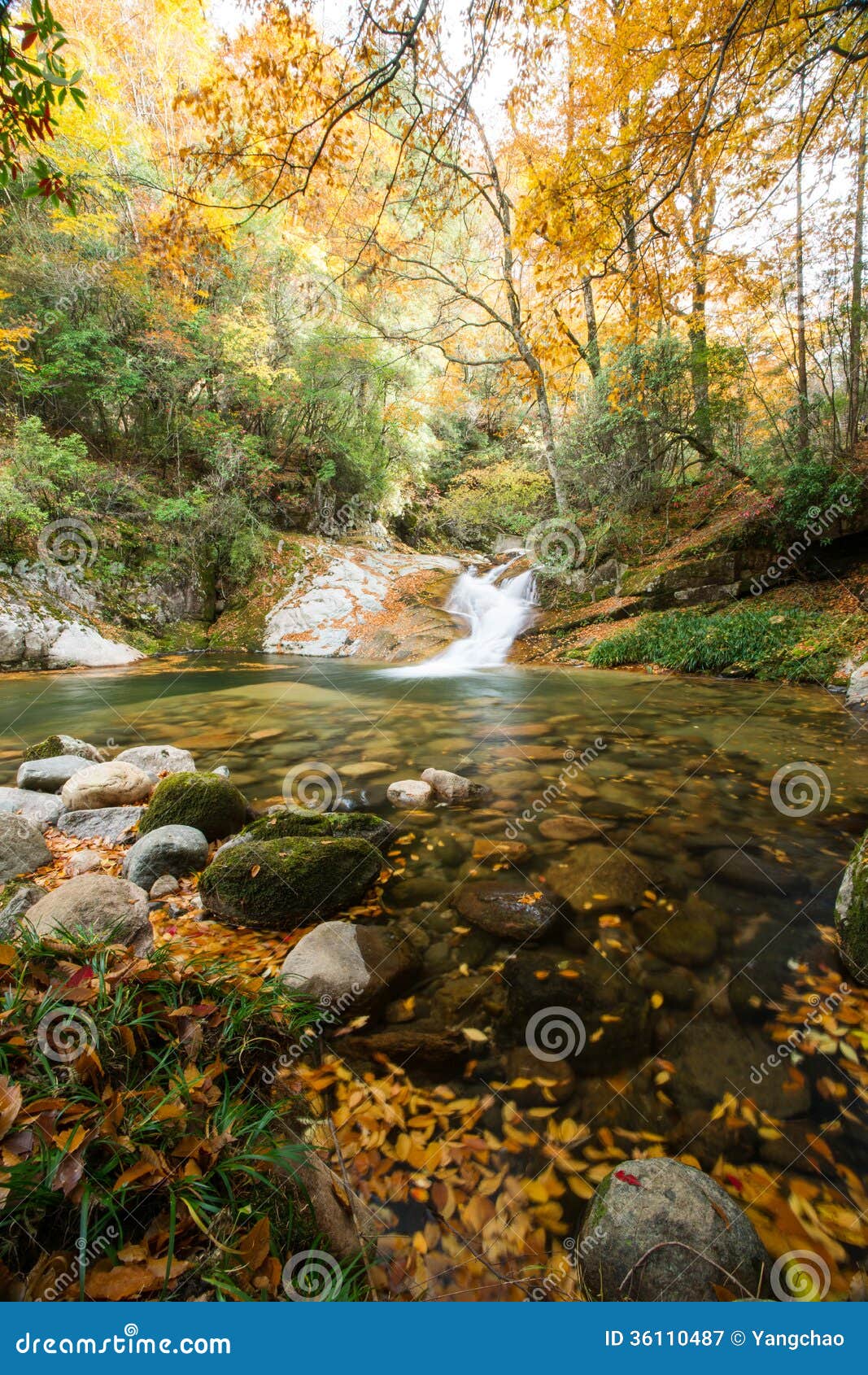 Autumn,forest and stream stock image. Image of hill, blurred - 36110487