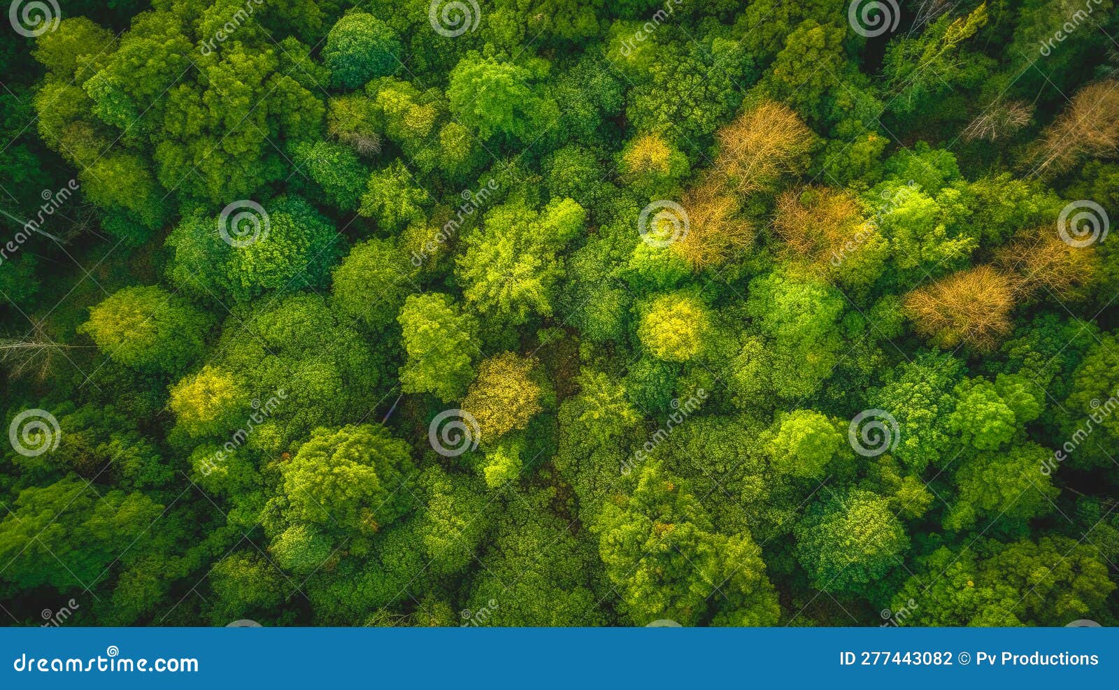 Autumn Forest, Forest Texture Background, Generative AI. Stock ...
