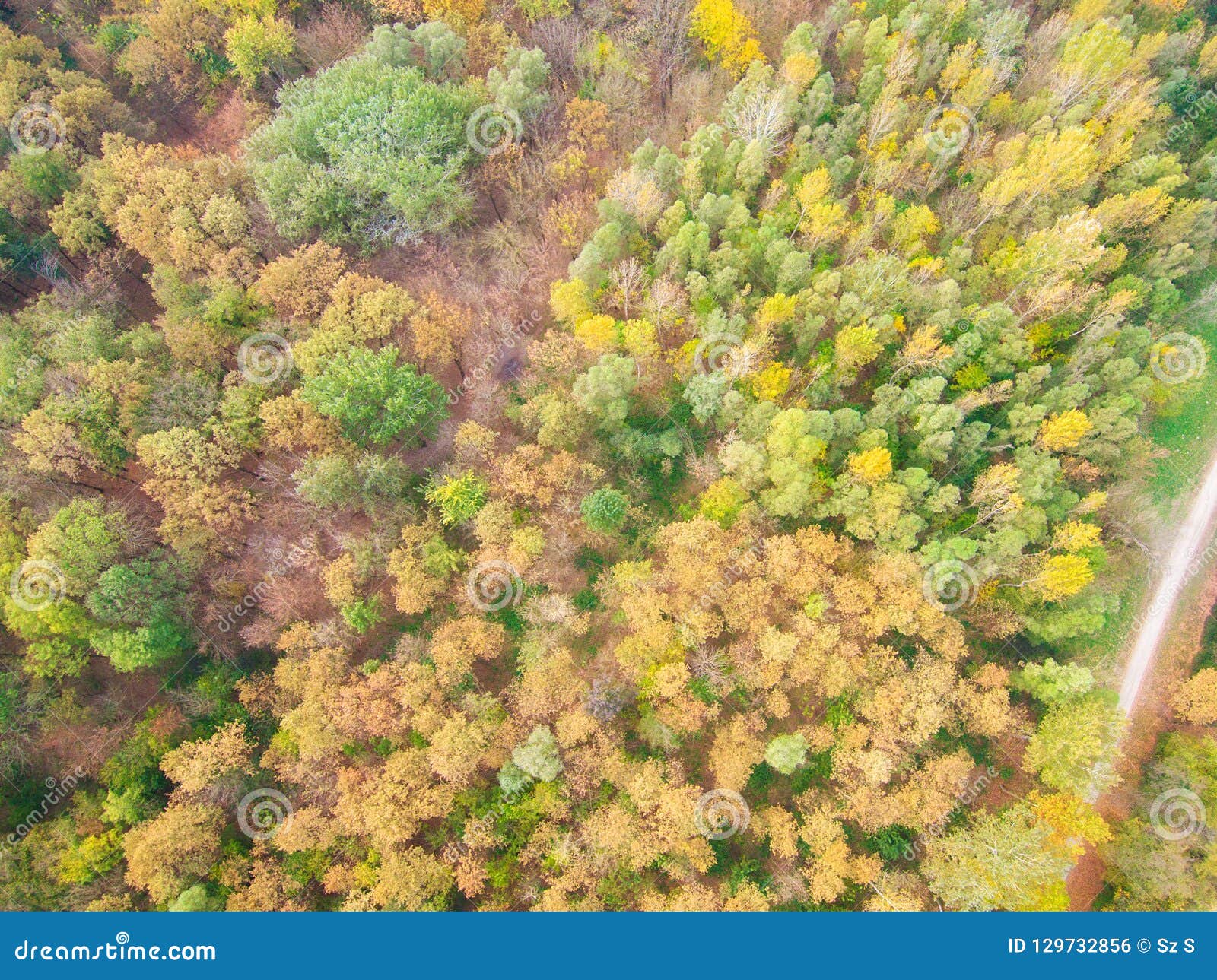 Autumn forest top of view stock photo. Image of aerial - 129732856