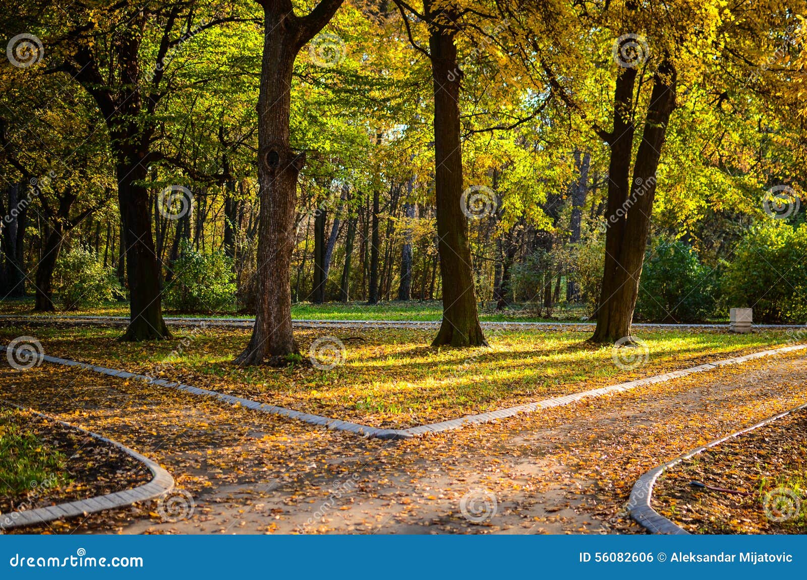 Two Paths Royalty-Free Stock Photography | CartoonDealer.com #60747041