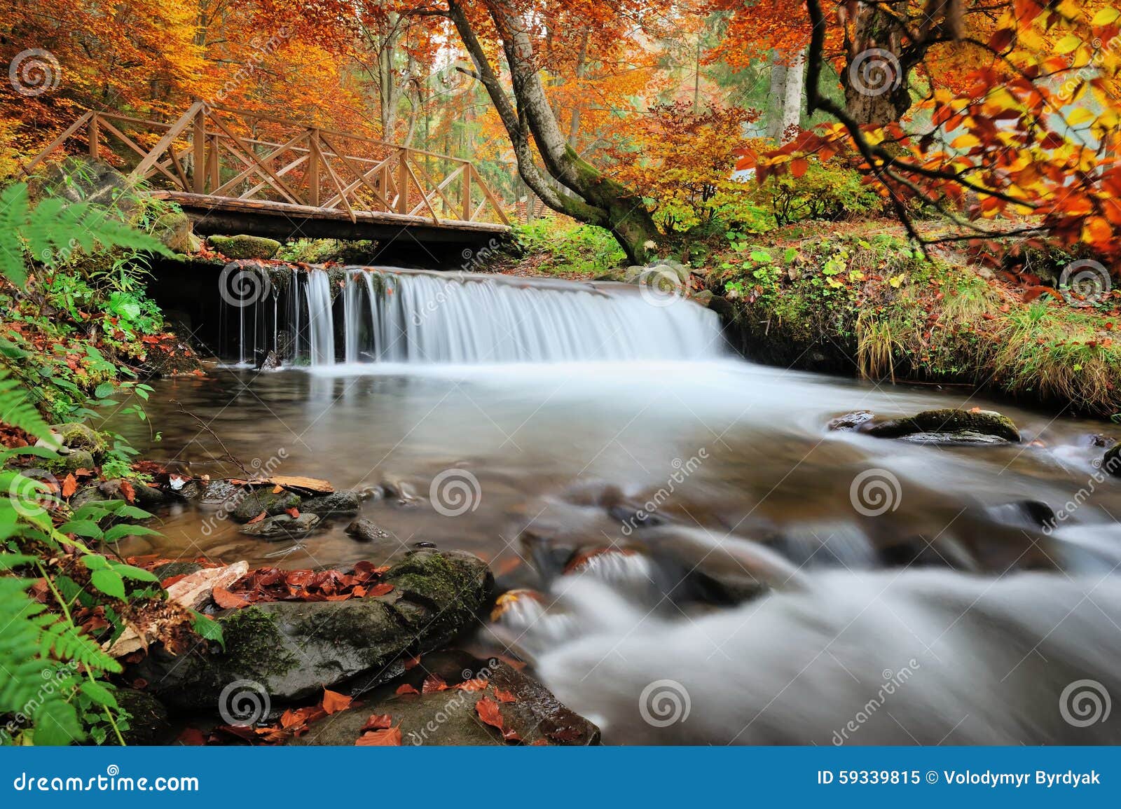 Autumn forest waterfall stock image. Image of freshness - 59339815