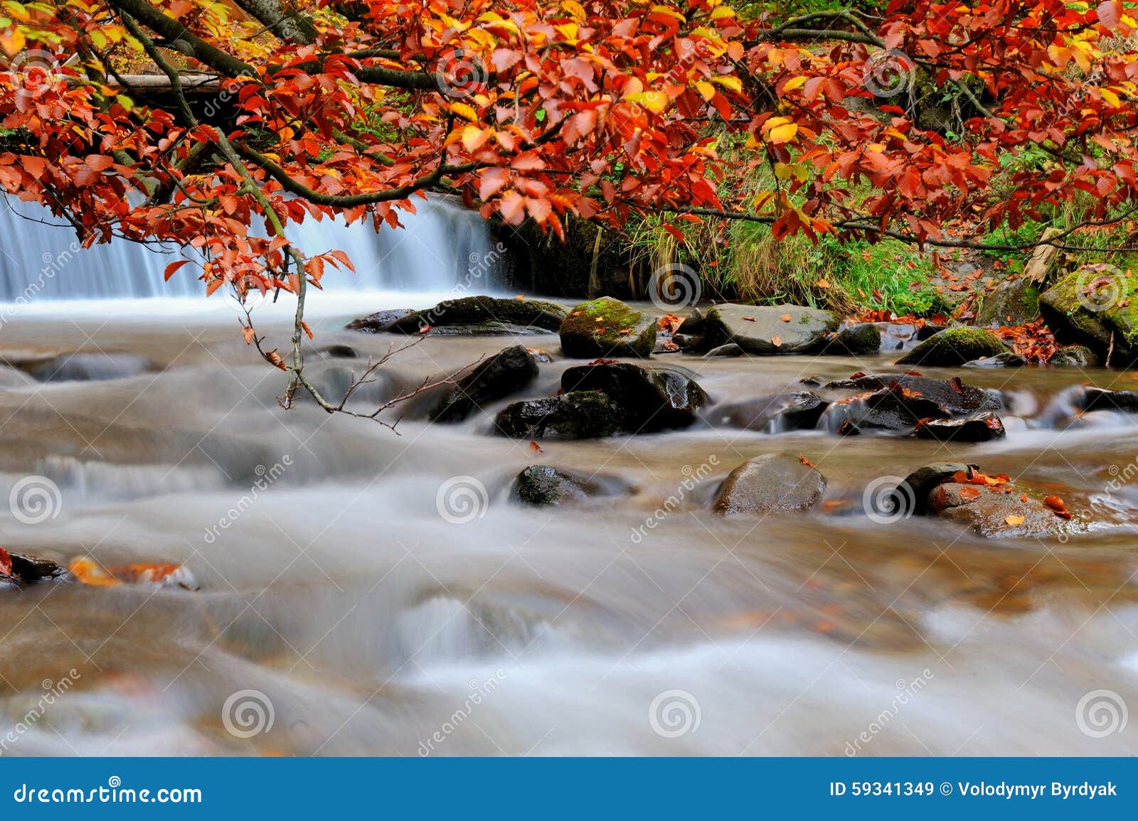 Autumn forest waterfall stock image. Image of flow, flowing - 59341349